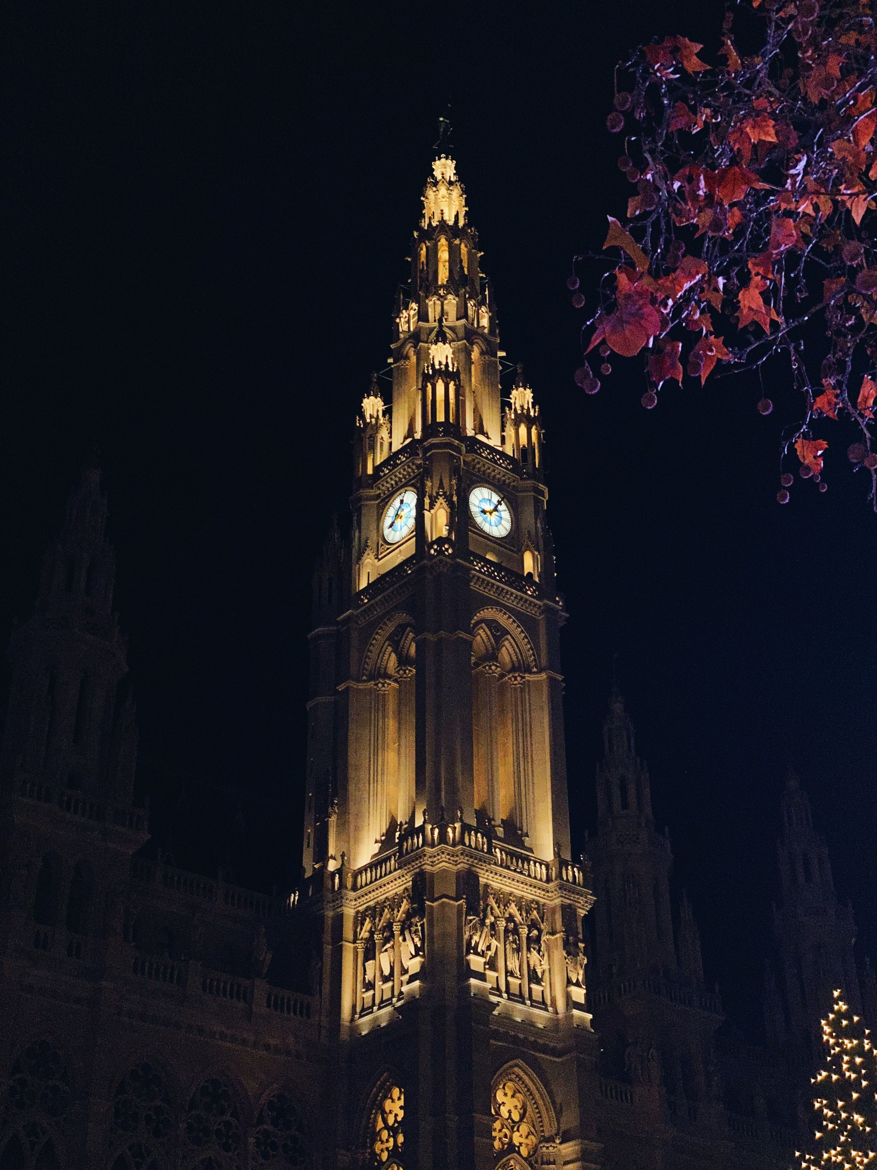 Gothic Clock Tower Illuminated at Night · Free Stock Photo