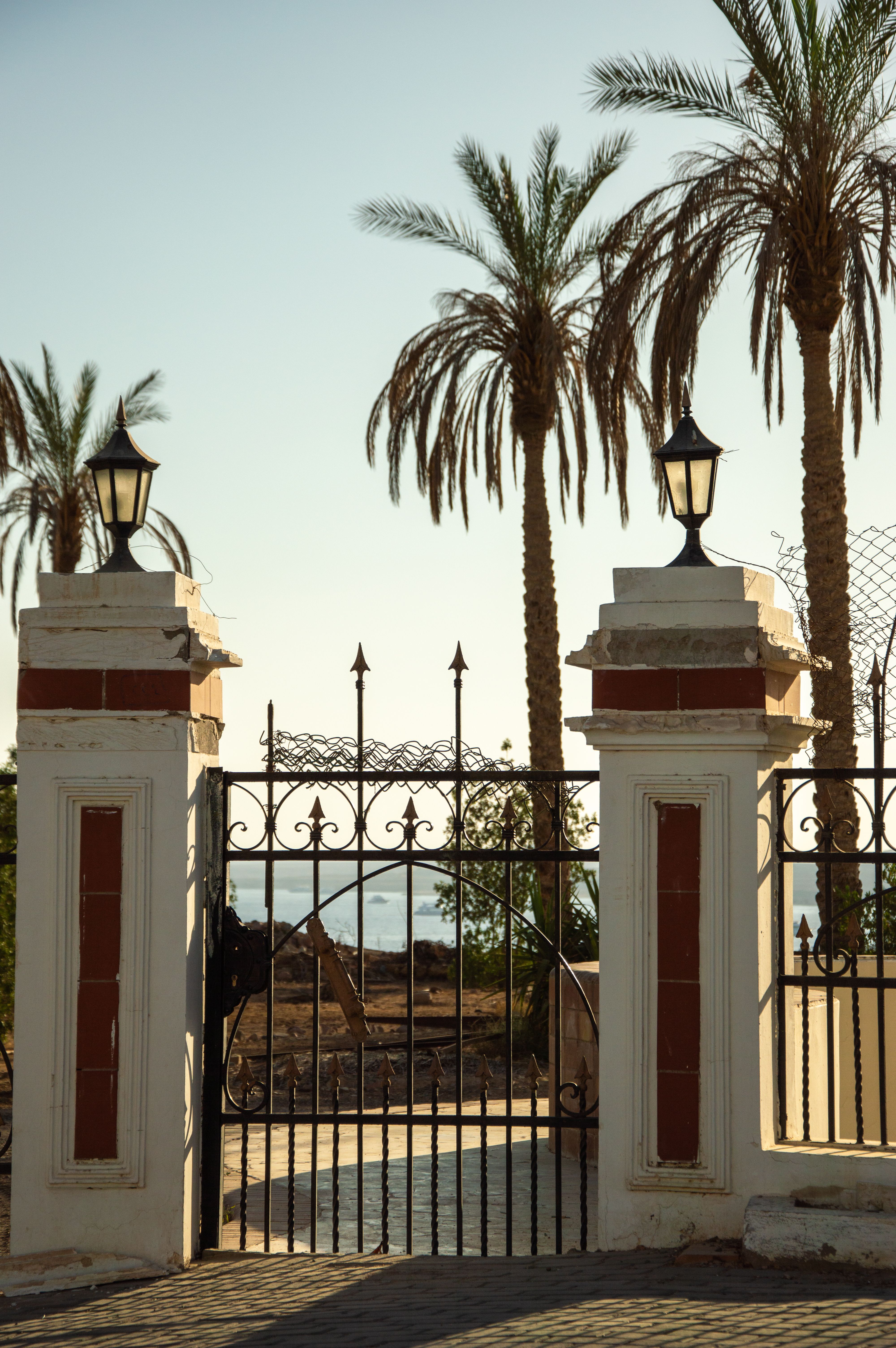 Closed Gate and Palm Trees behind · Free Stock Photo