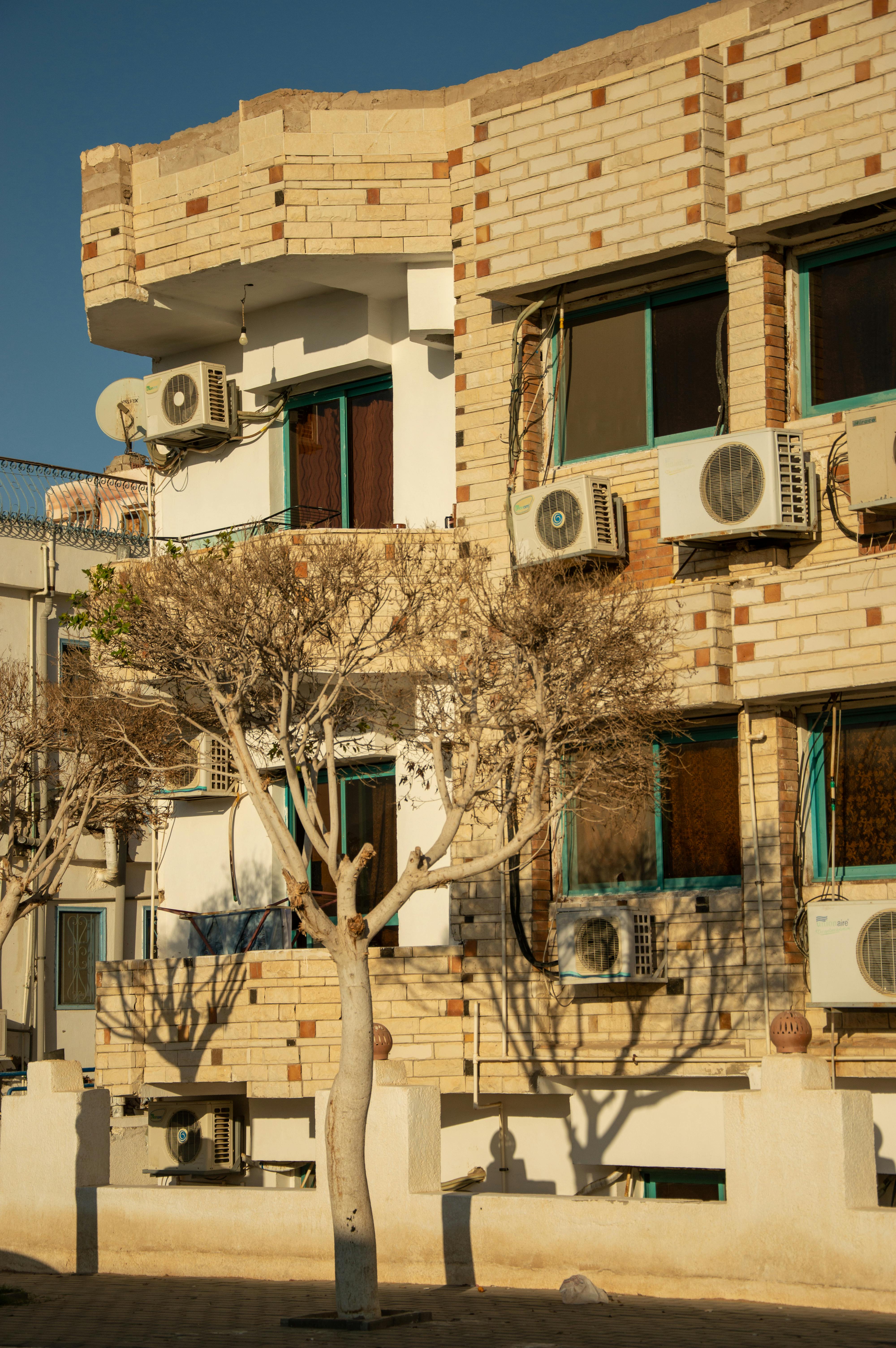 Tree Beside Building · Free Stock Photo