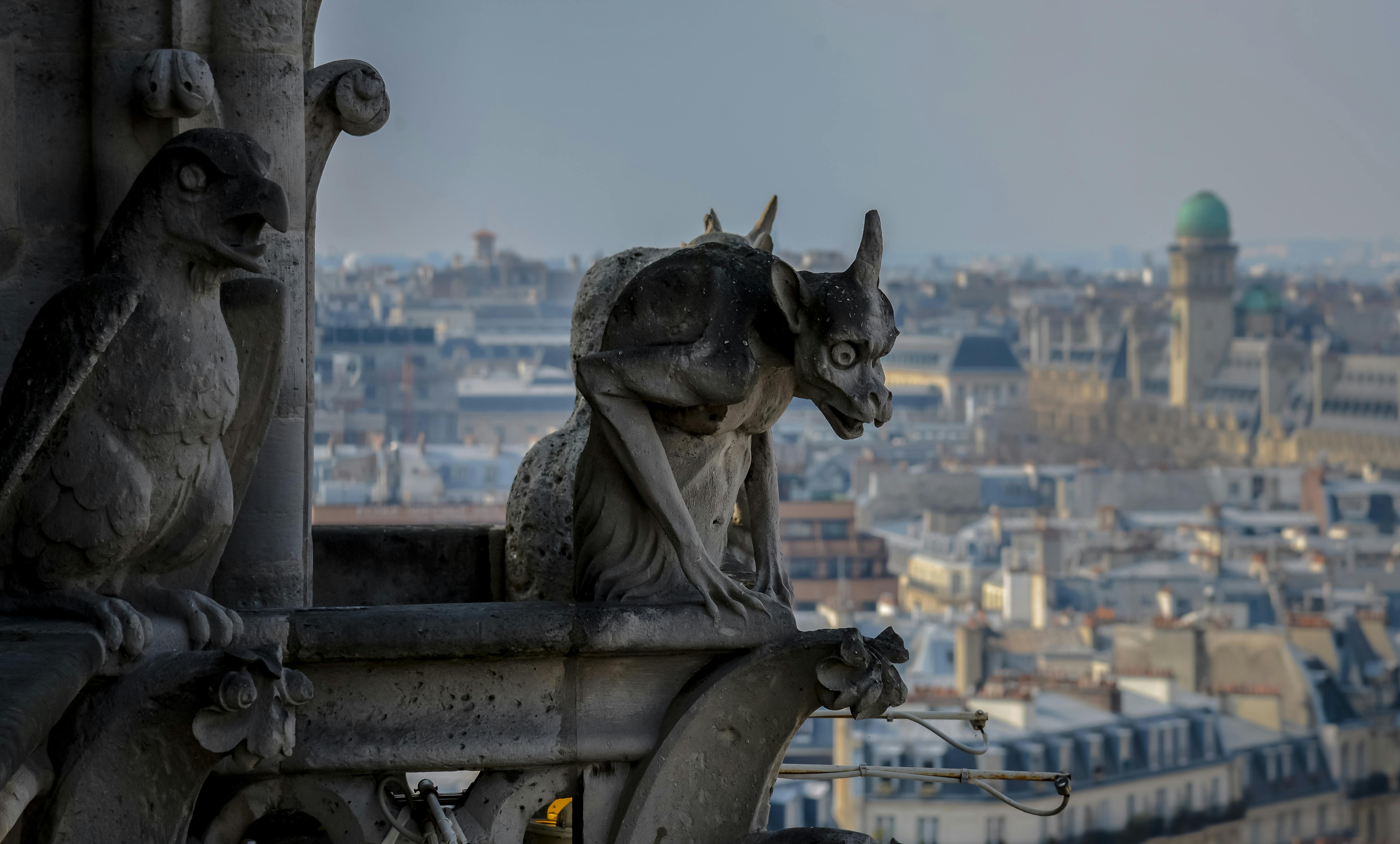 Photo of a Gargoyle with a View of a City · Free Stock Photo