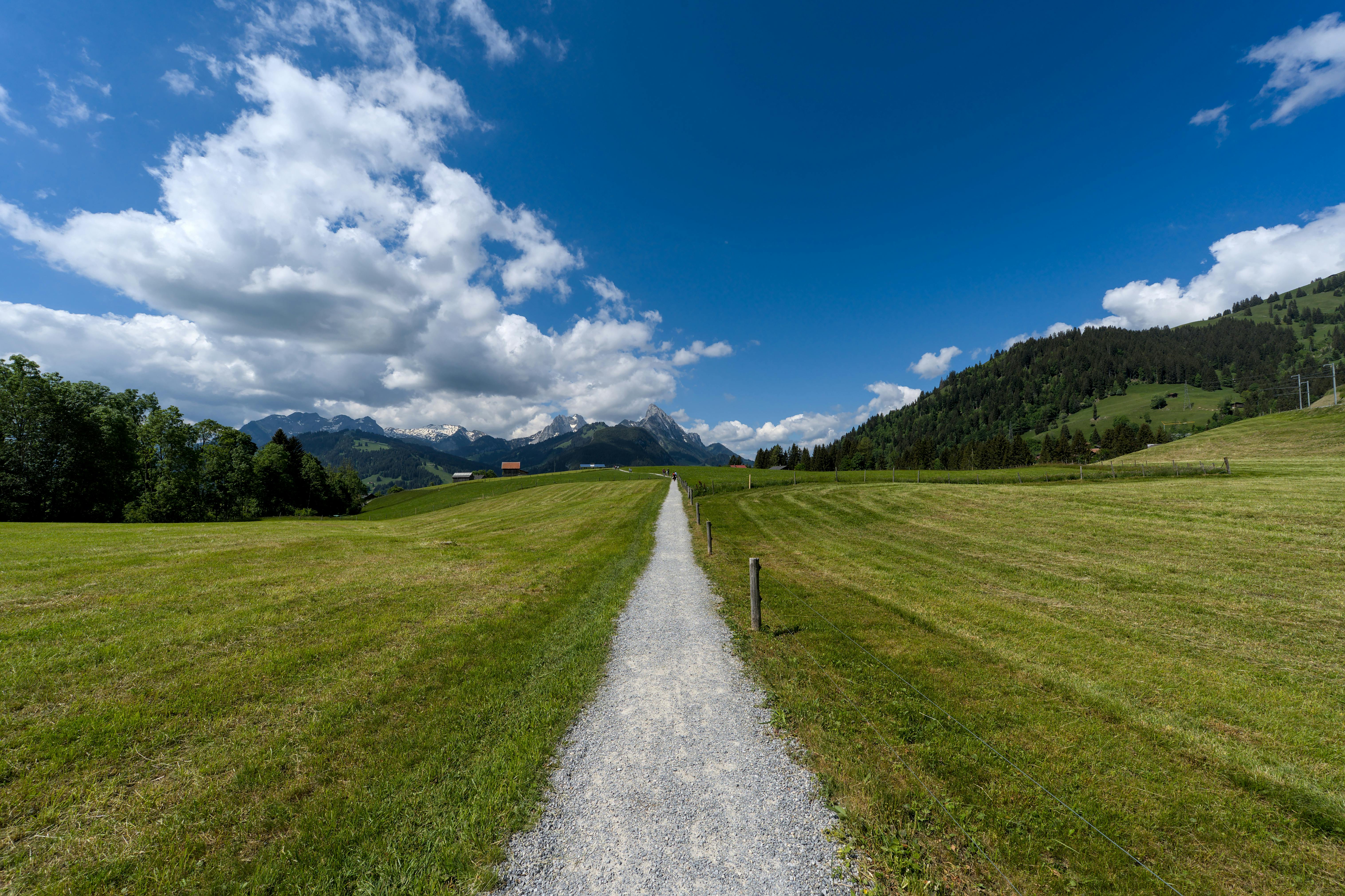 Person Walking on Pathway · Free Stock Photo