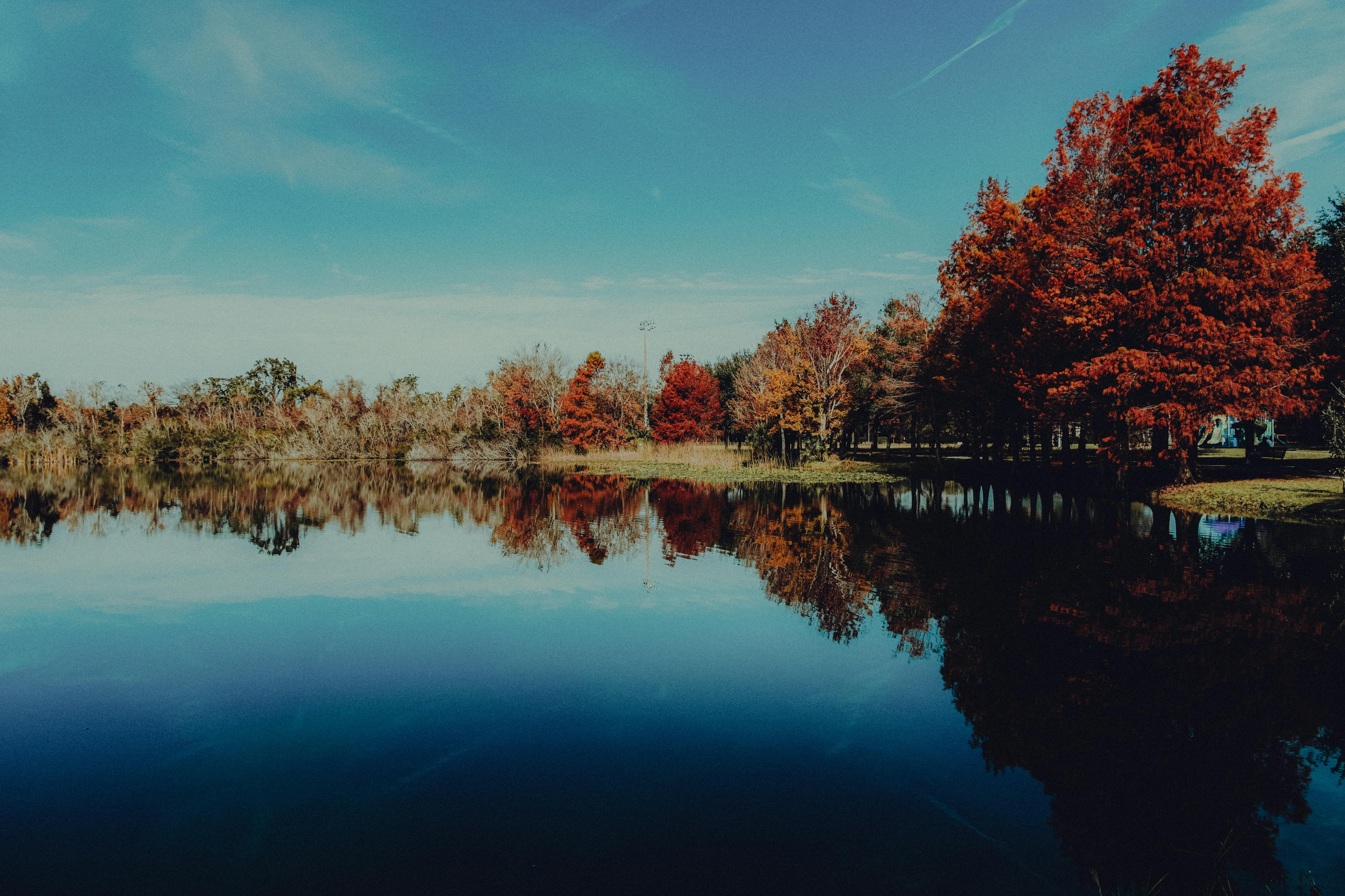 Colorful Trees around Lake in Autumn · Free Stock Photo