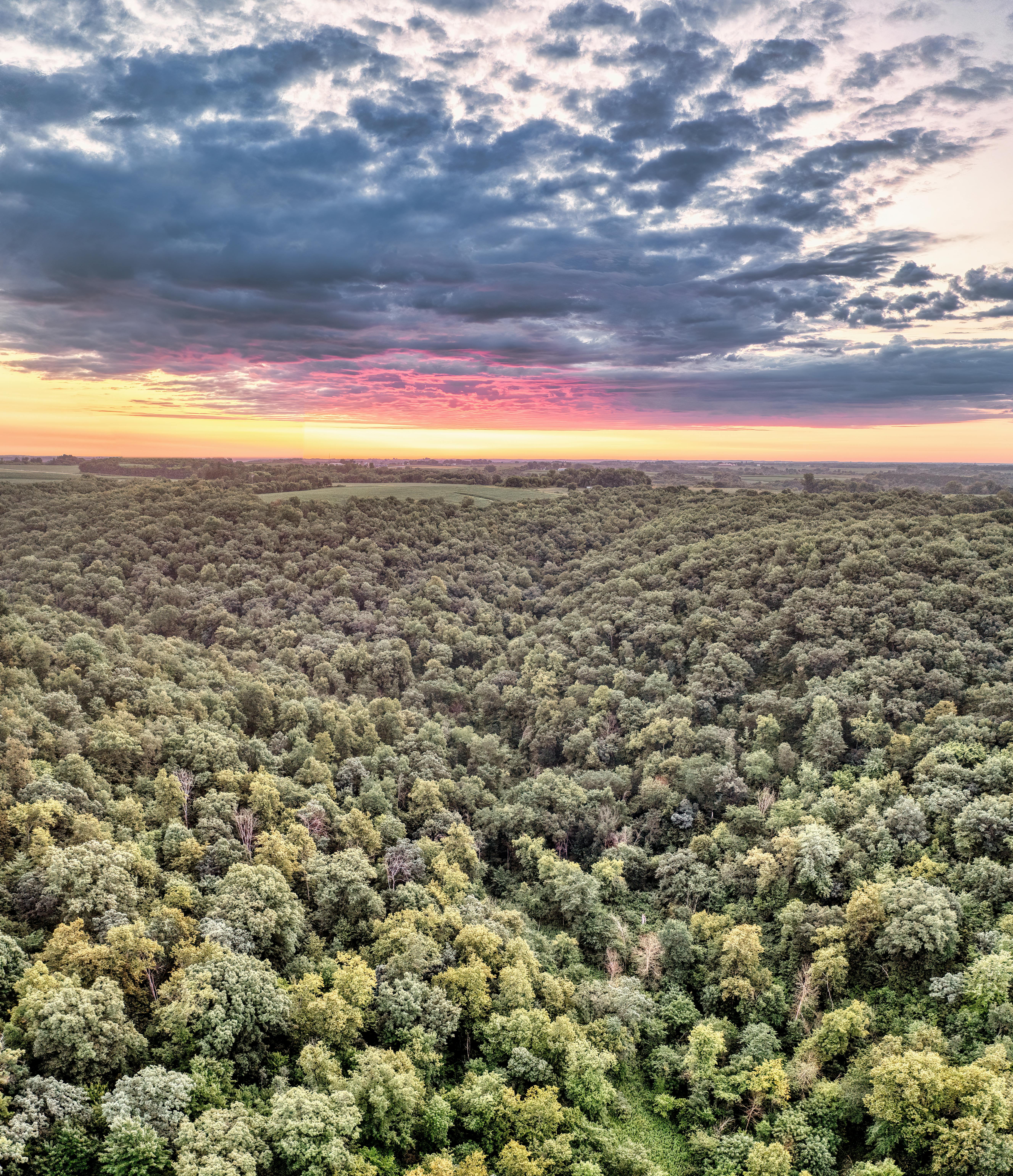 Aerial View of a Forest at Sunset · Free Stock Photo