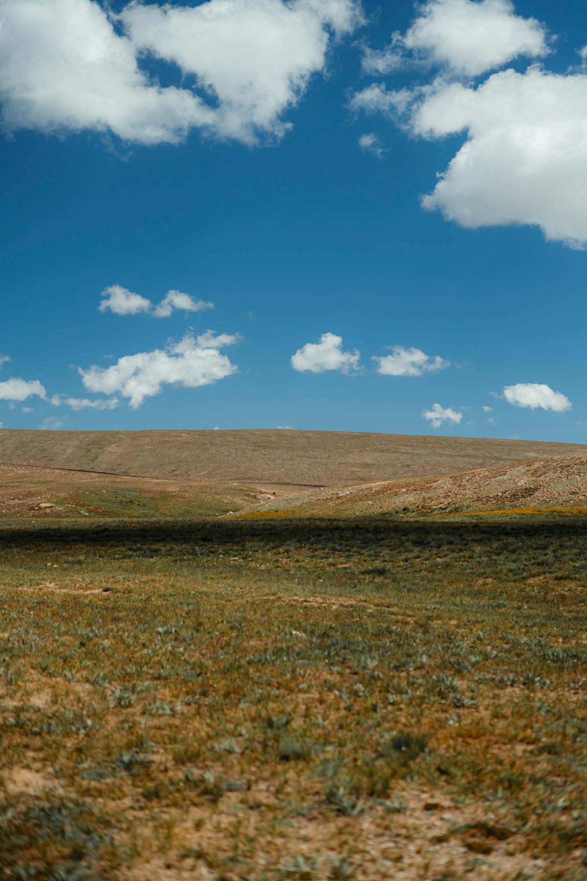 Grassland Landscape Photos, Download The BEST Free Grassland Landscape ...