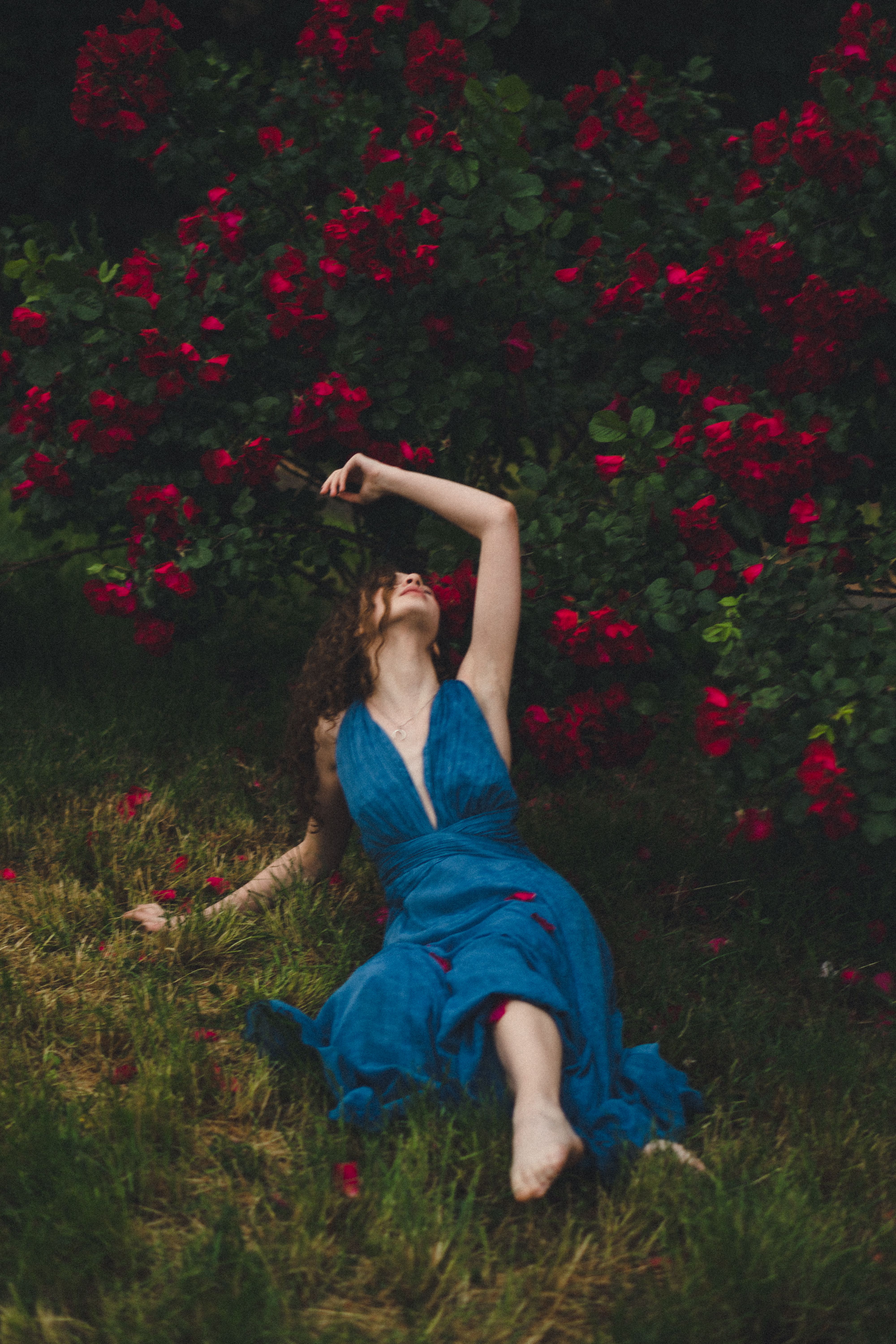 Woman in a Blue Dress Lying under a Flower Shrub · Free Stock Photo