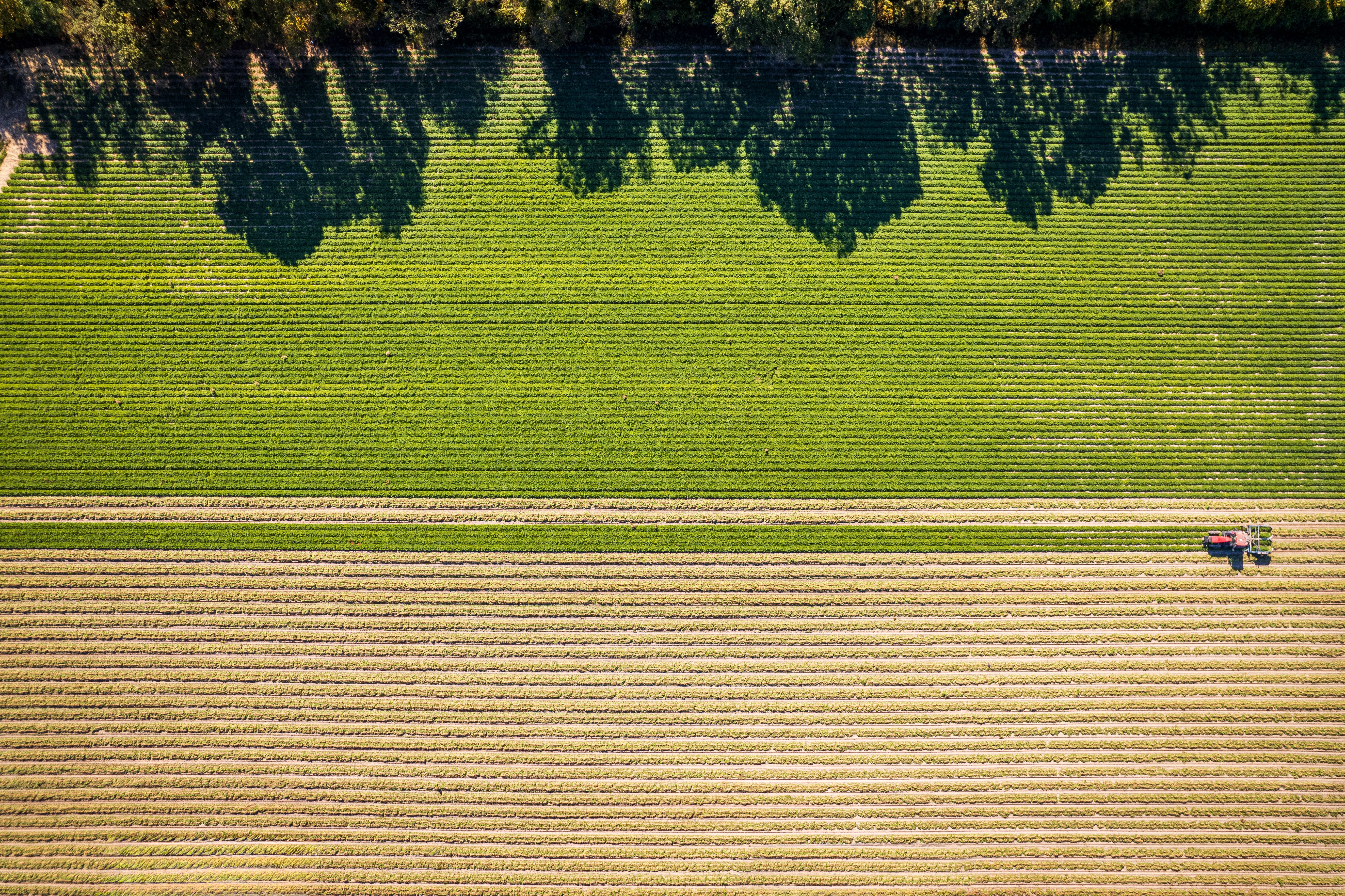 Aerial View of a Field During Harvest · Free Stock Photo