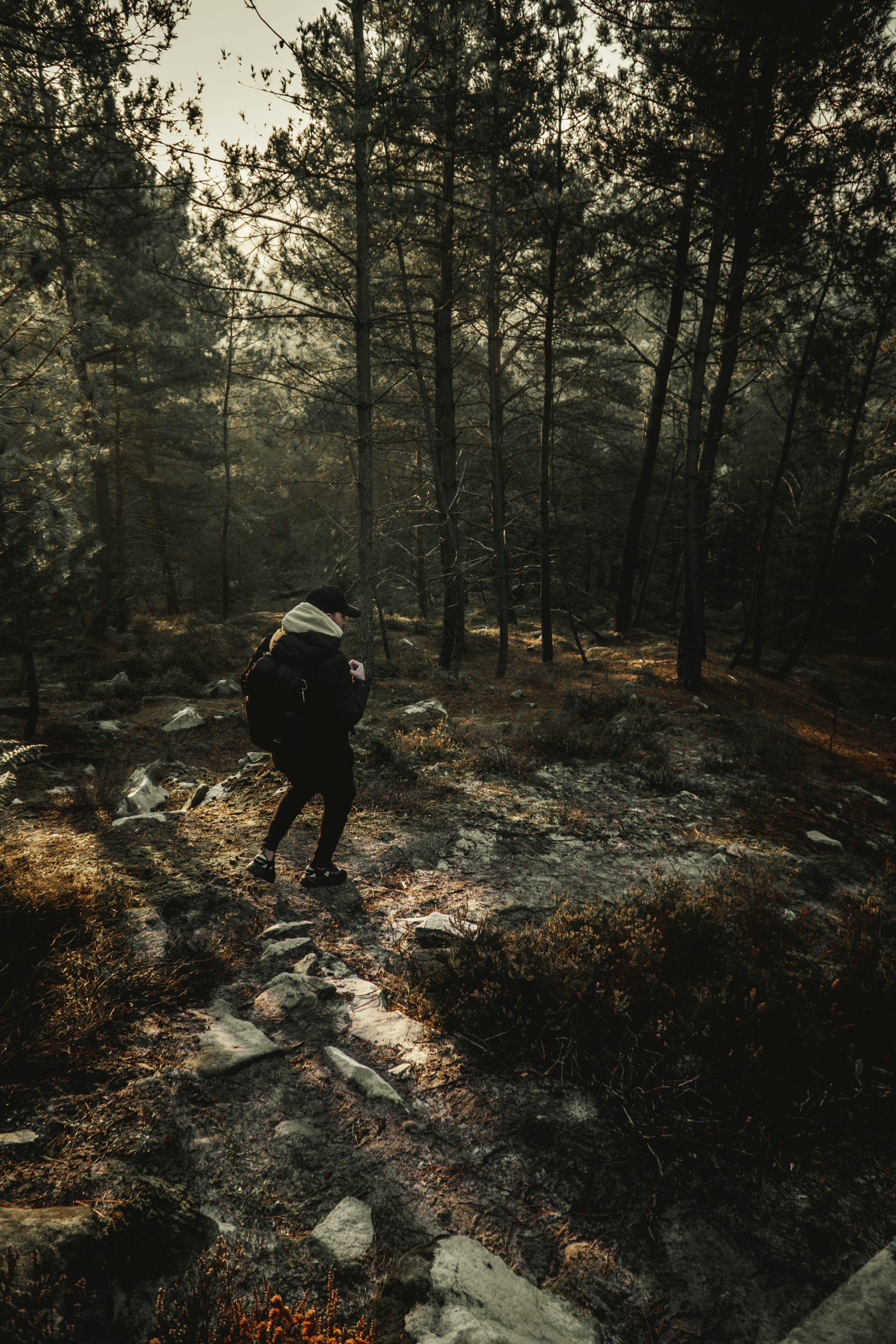 Man Hiking in Forest · Free Stock Photo
