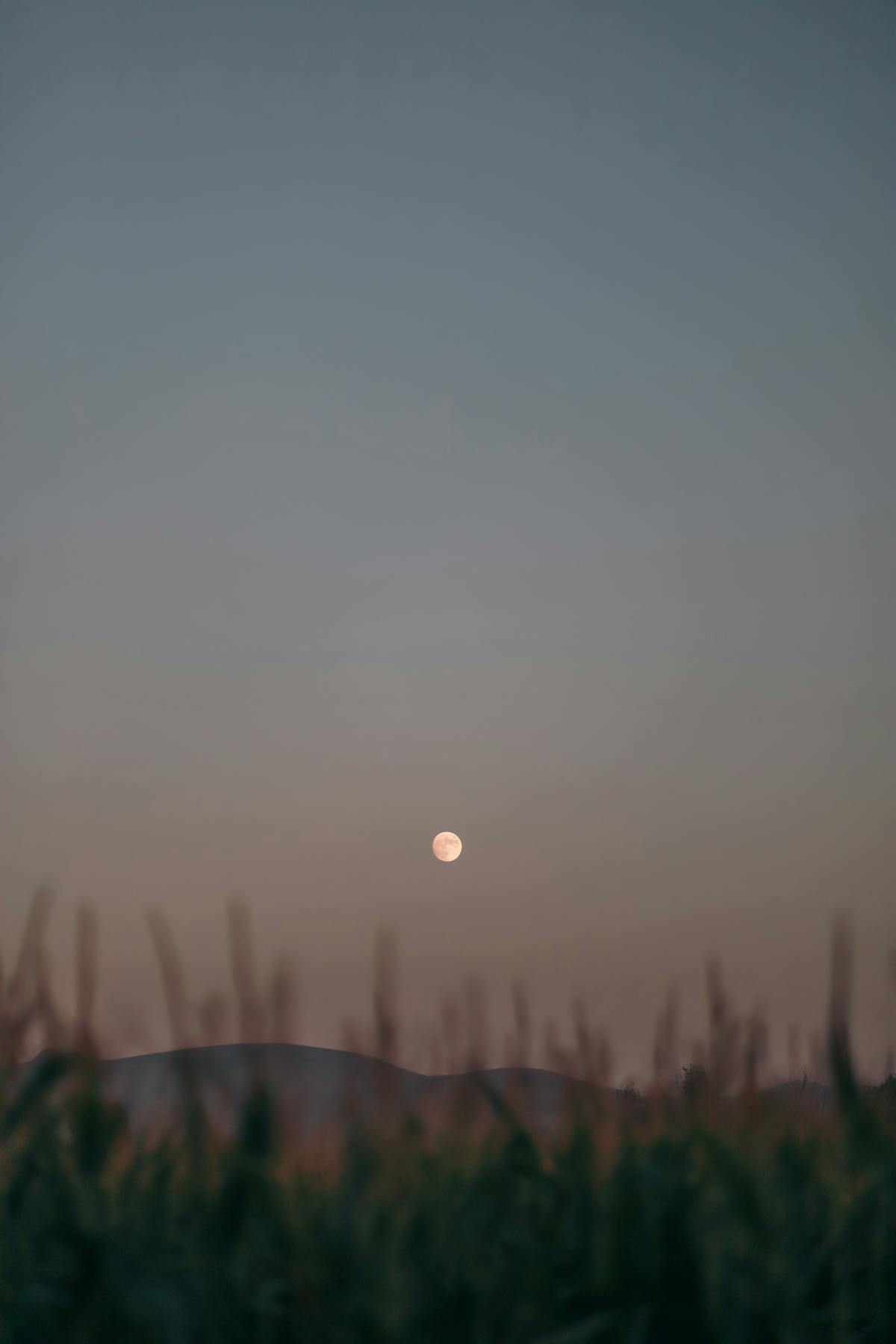 Rising Photos, Download The BEST Free Rising Stock Photos & HD Images