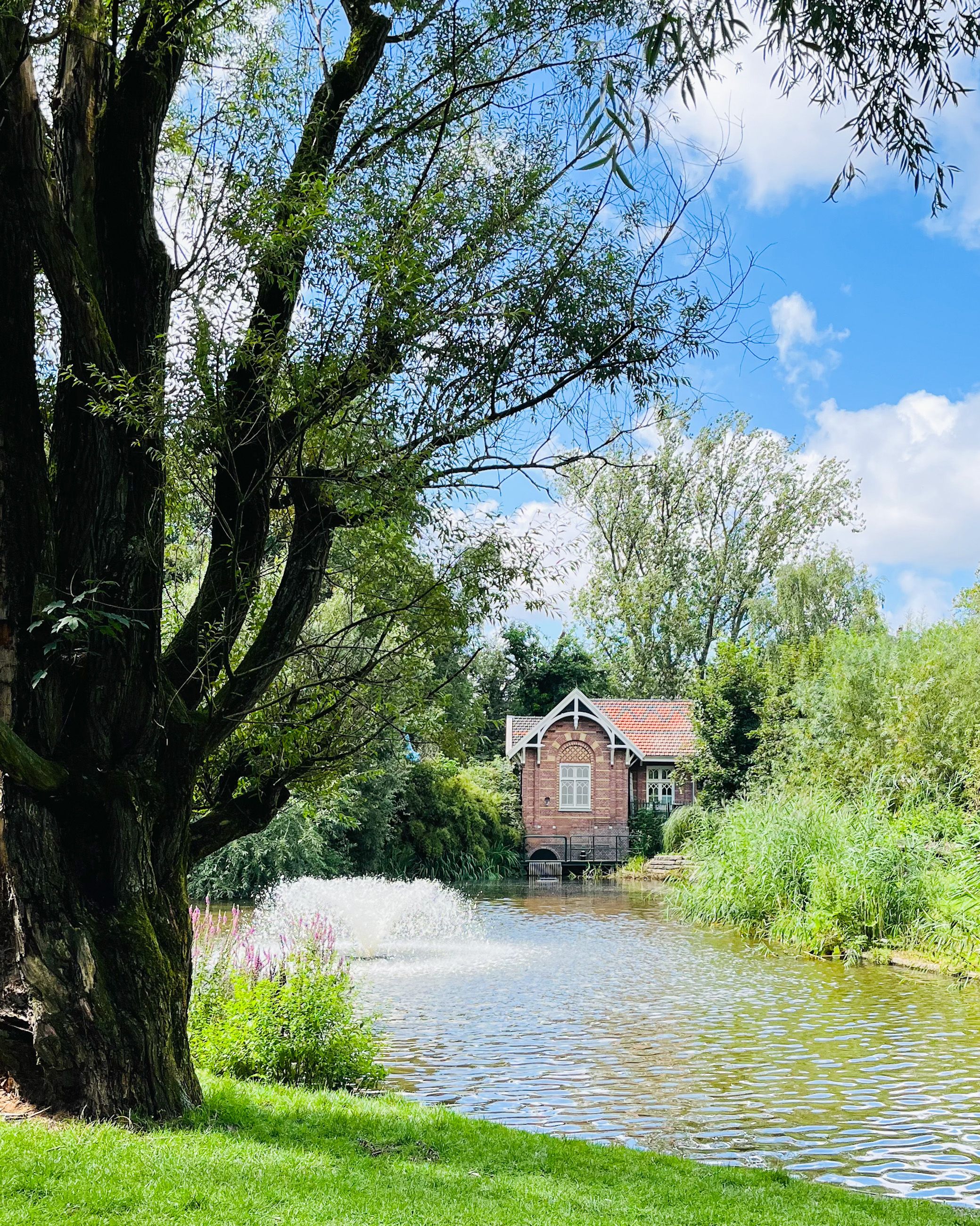 Nederland Photos Download The Best Free Nederland Stock Photos Hd Images
