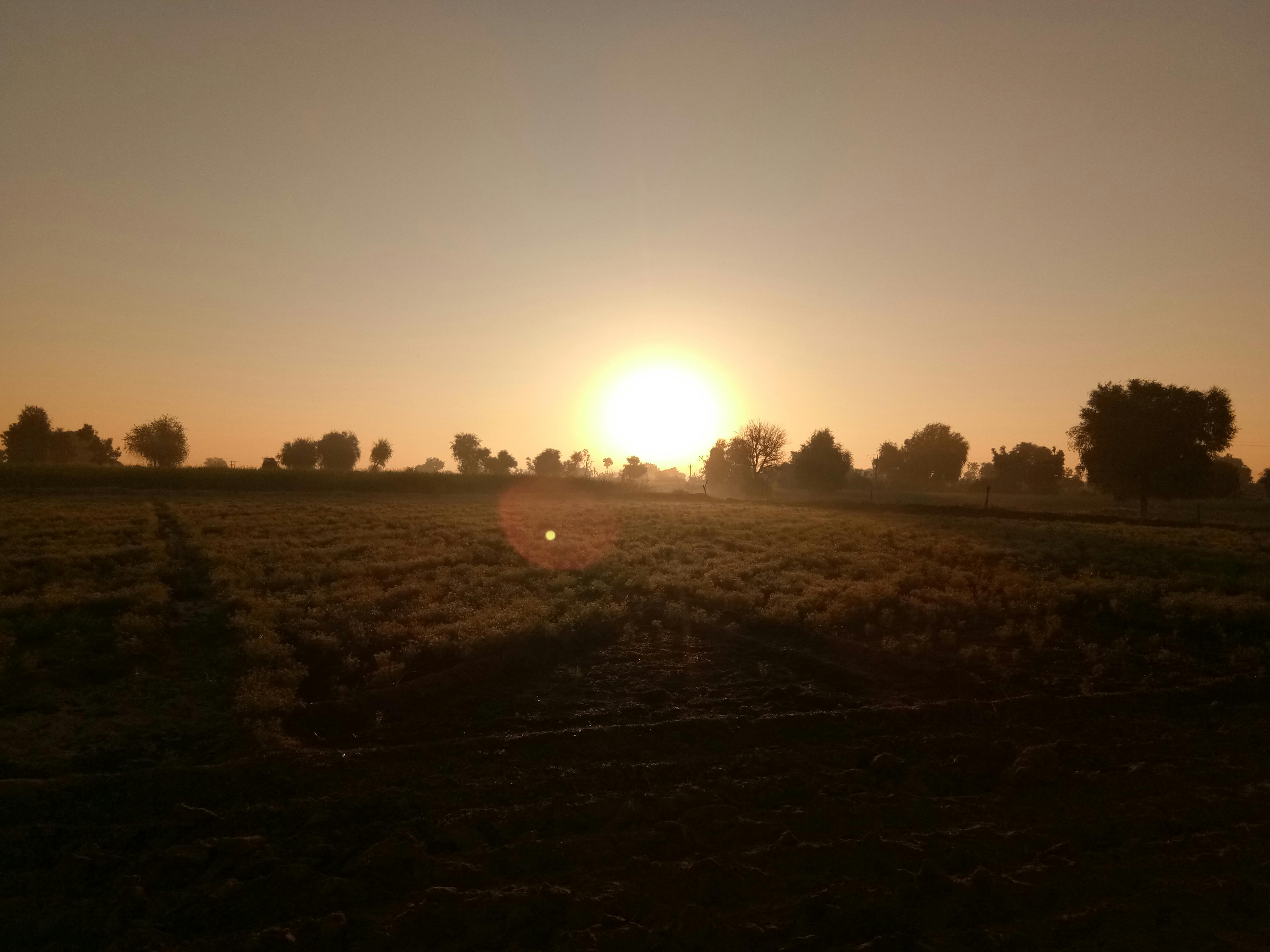 Free stock photo of early morning, morning light, morning sun