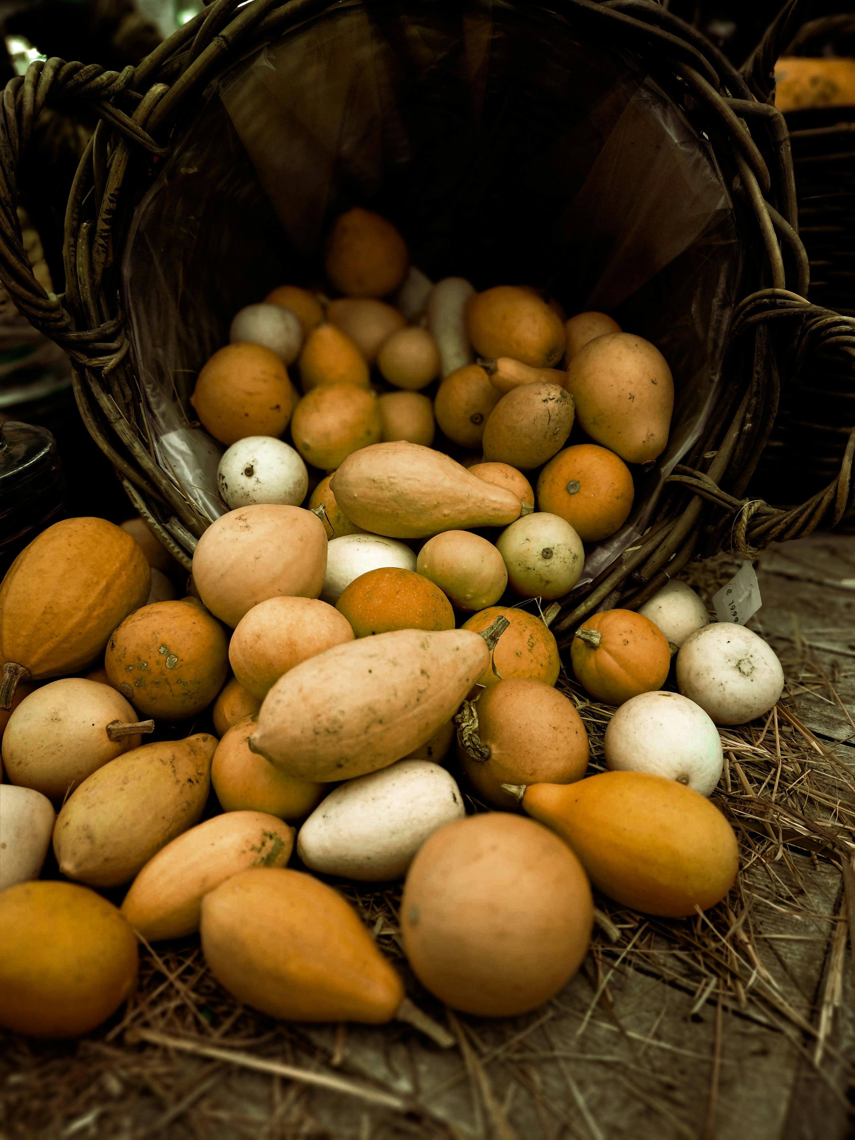 Loki Vegetables Photos, Download The BEST Free Loki Vegetables Stock ...