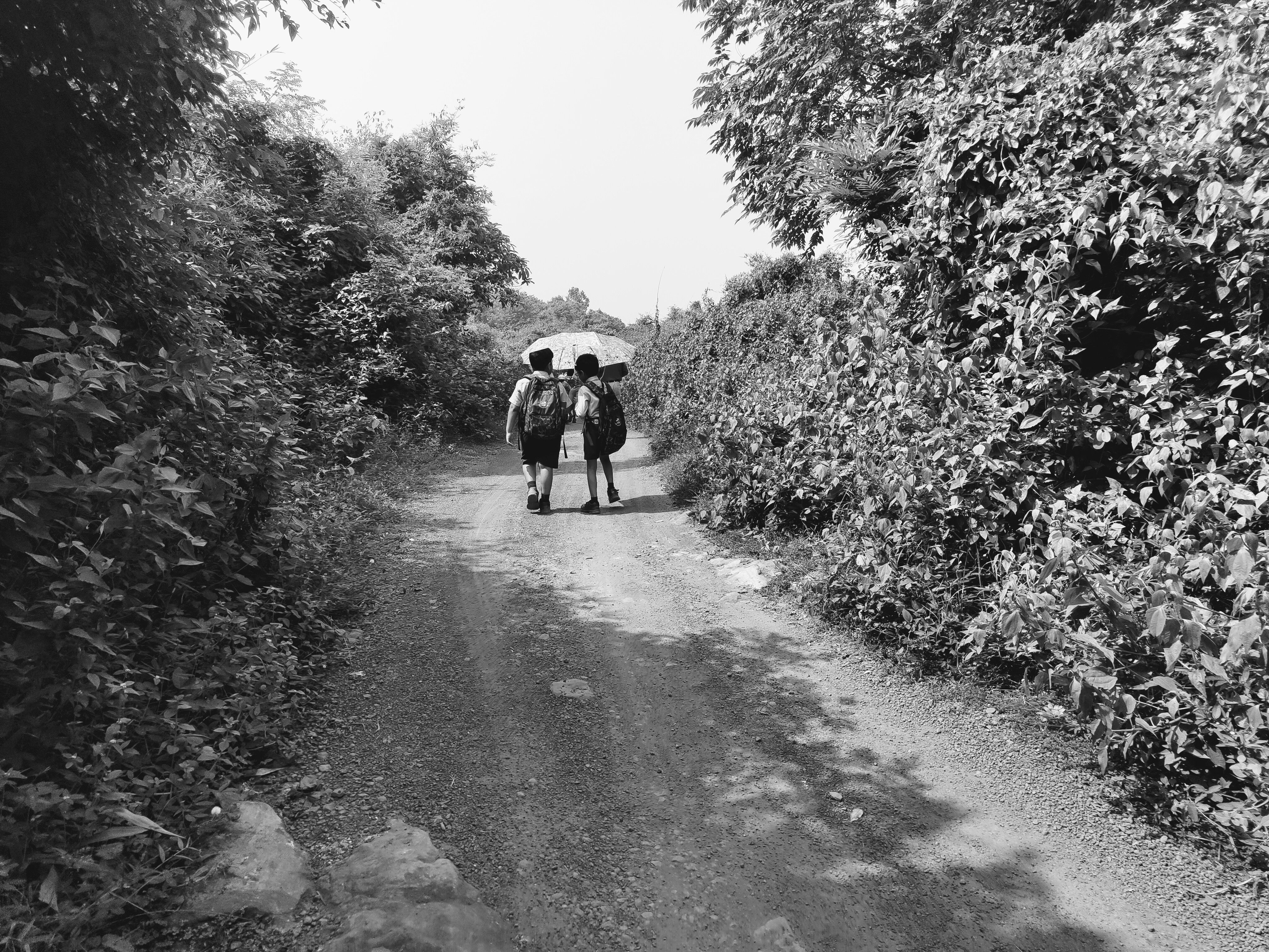 Kids Walking on an Unpaved Road · Free Stock Photo