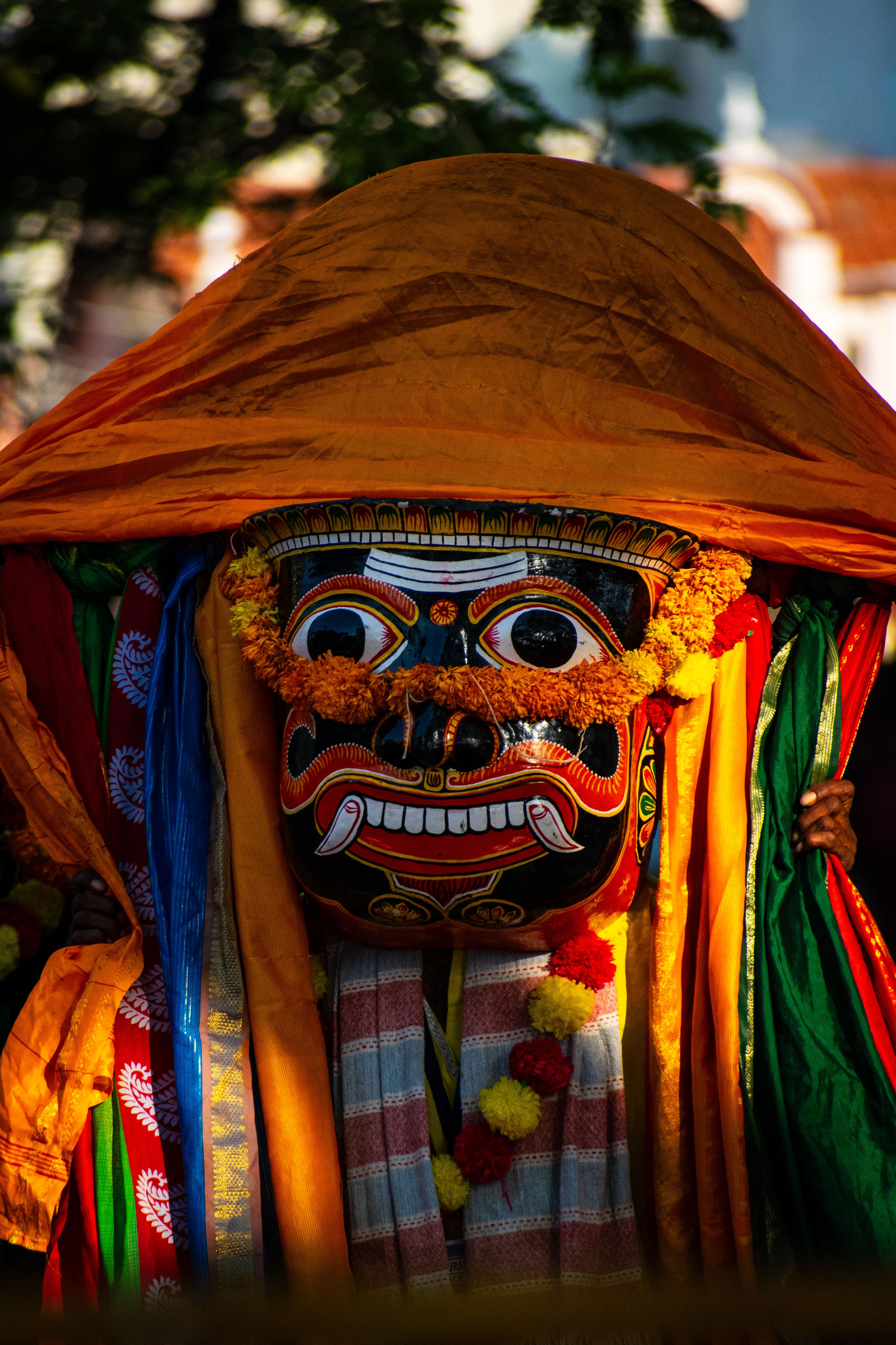 Person Wearing Foo Dog Costume · Free Stock Photo