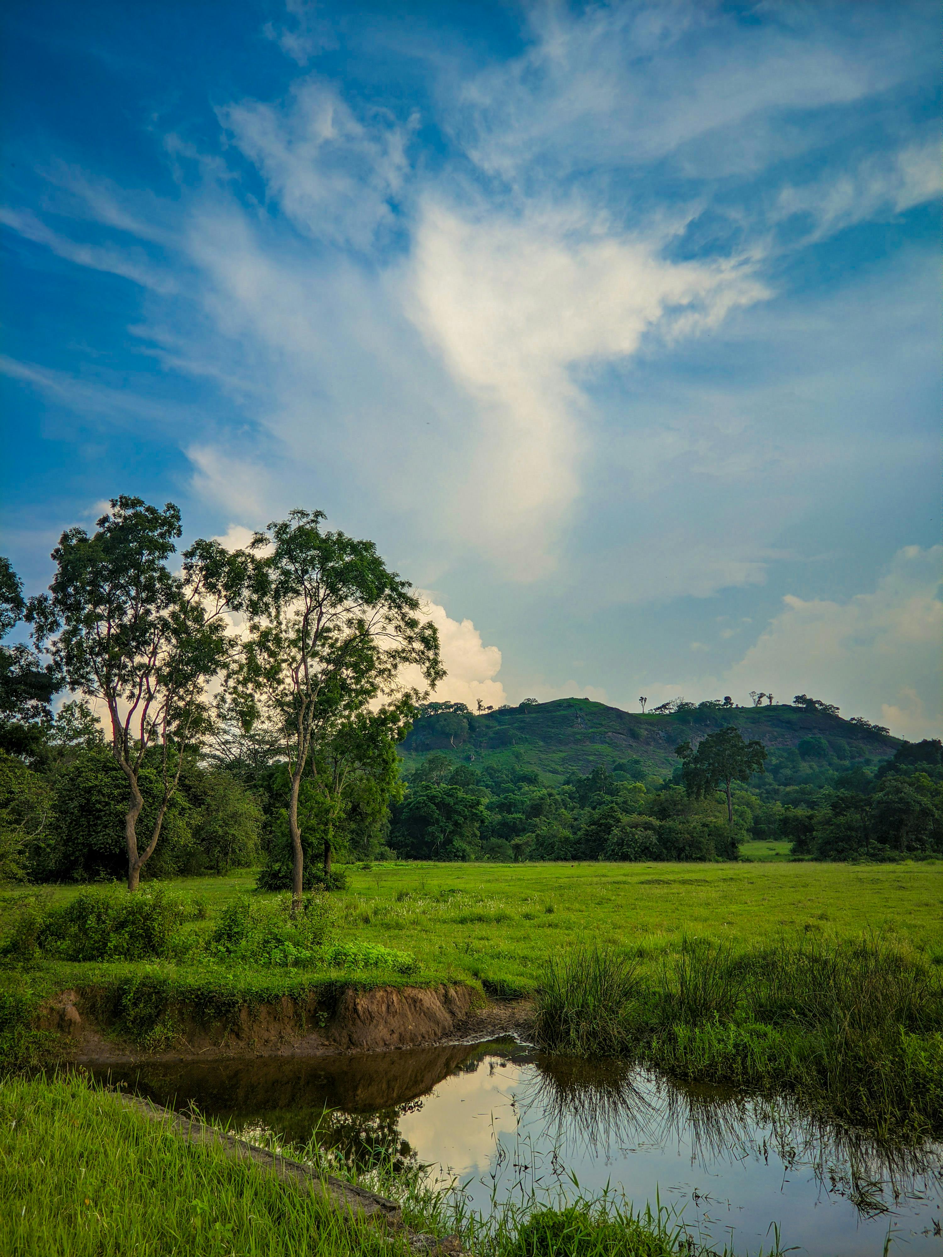 'lately vs recently의 차이와 쓰임: 5가지 핵심 포인트로 마스터하기' :: 오늘의 영어