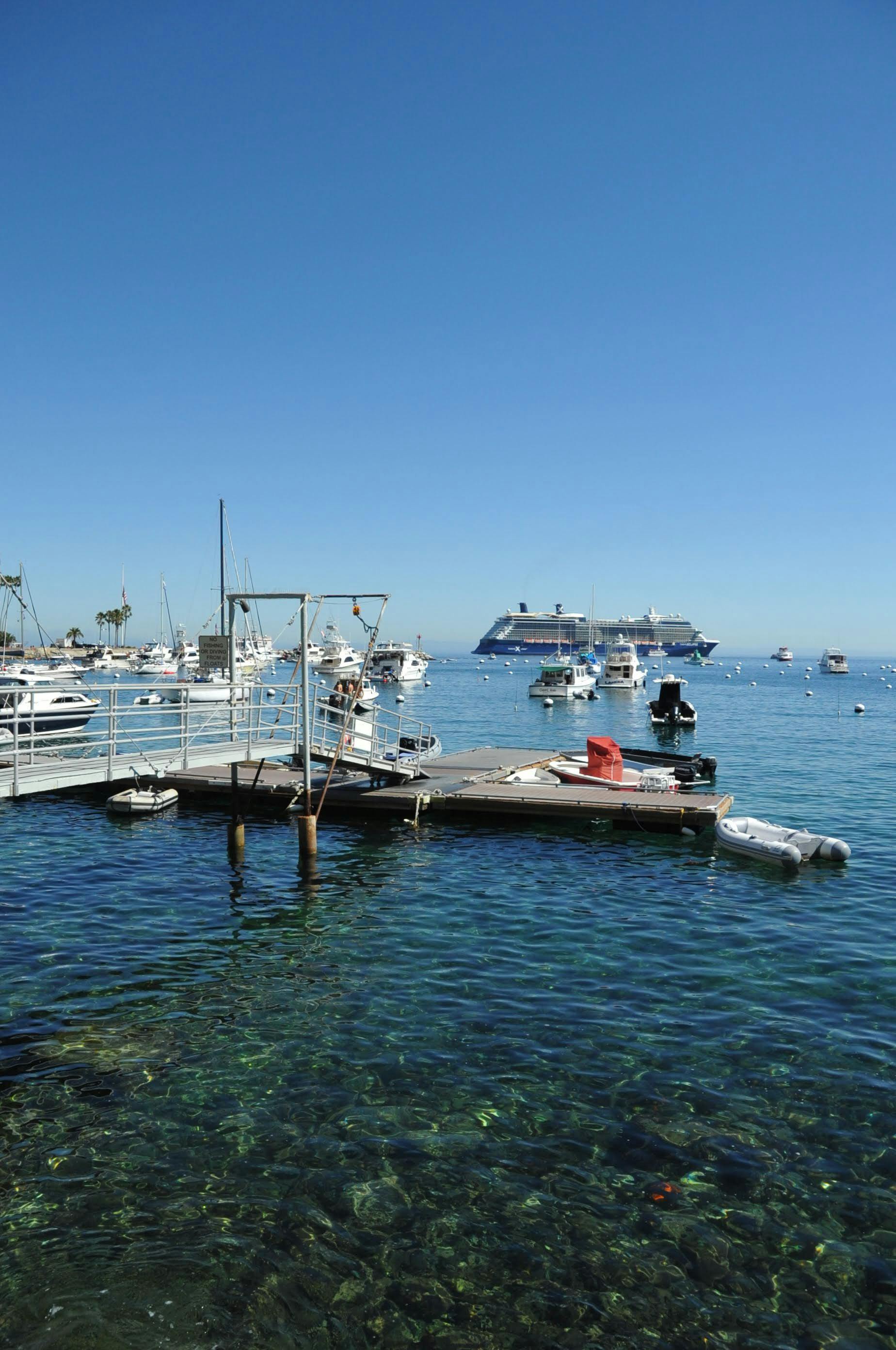 Sabrina Burgos - Photography