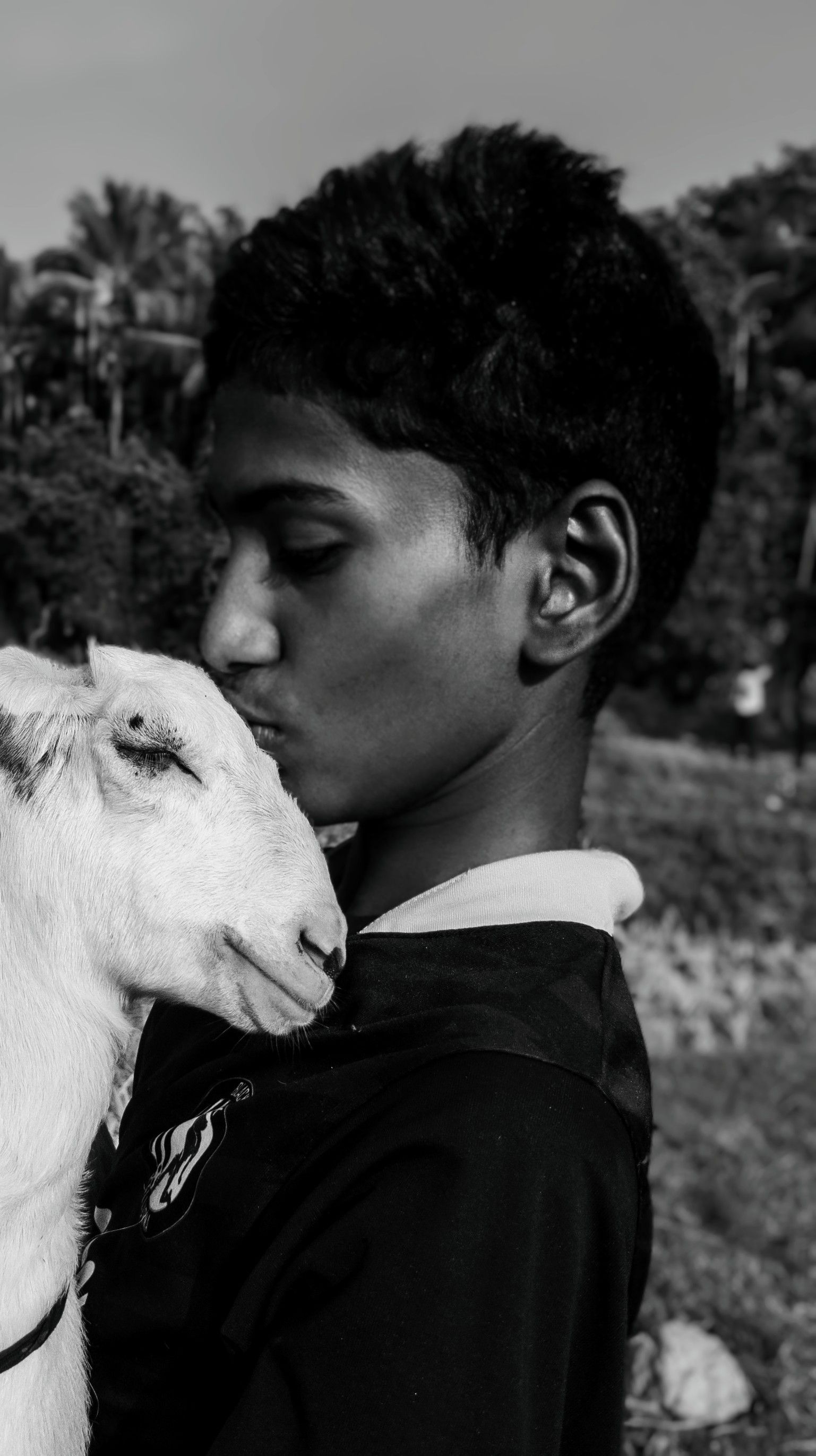 Boy Hugging Goat · Free Stock Photo