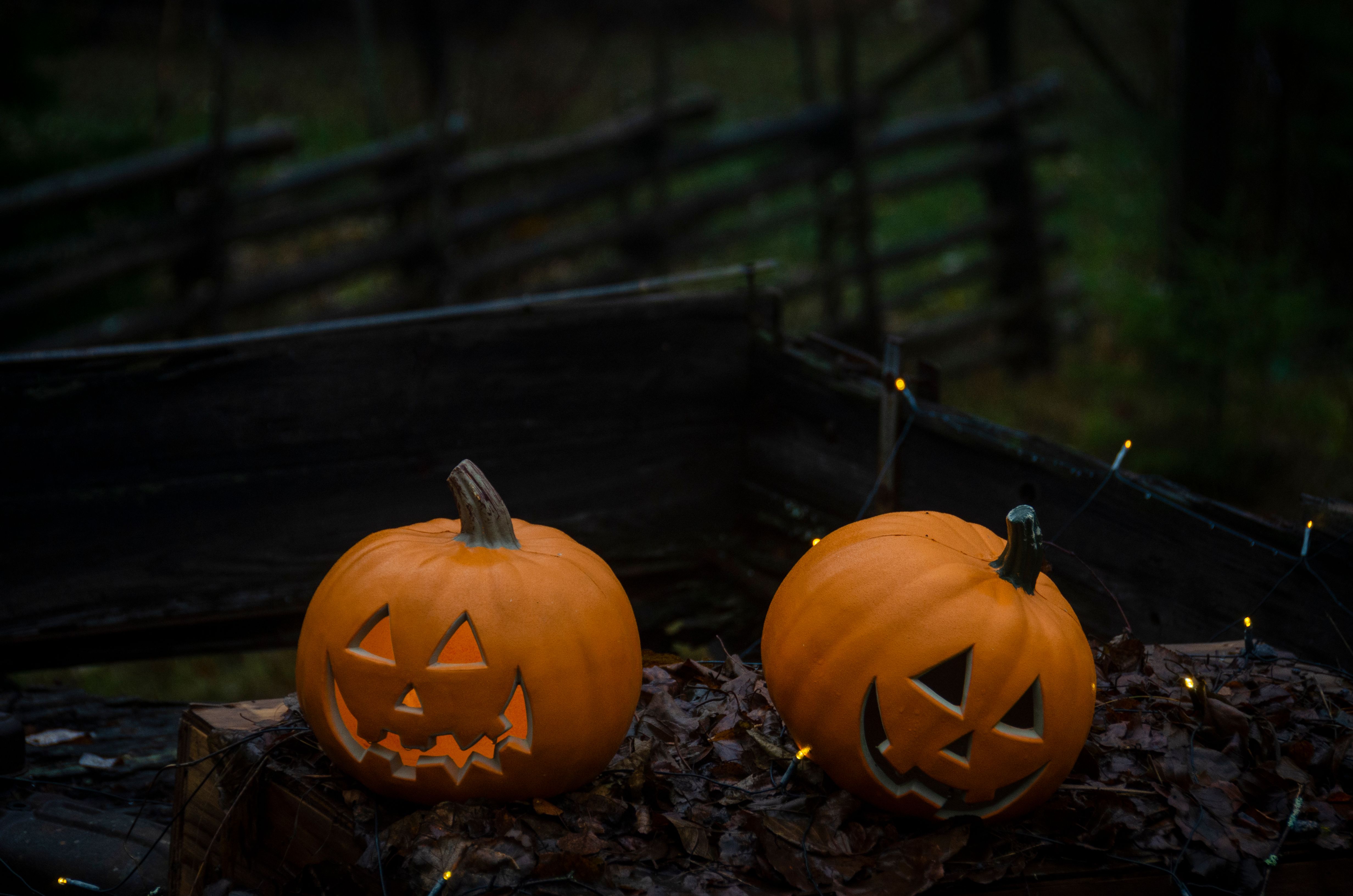 Carved Pumpkins Photos, Download The BEST Free Carved Pumpkins Stock ...