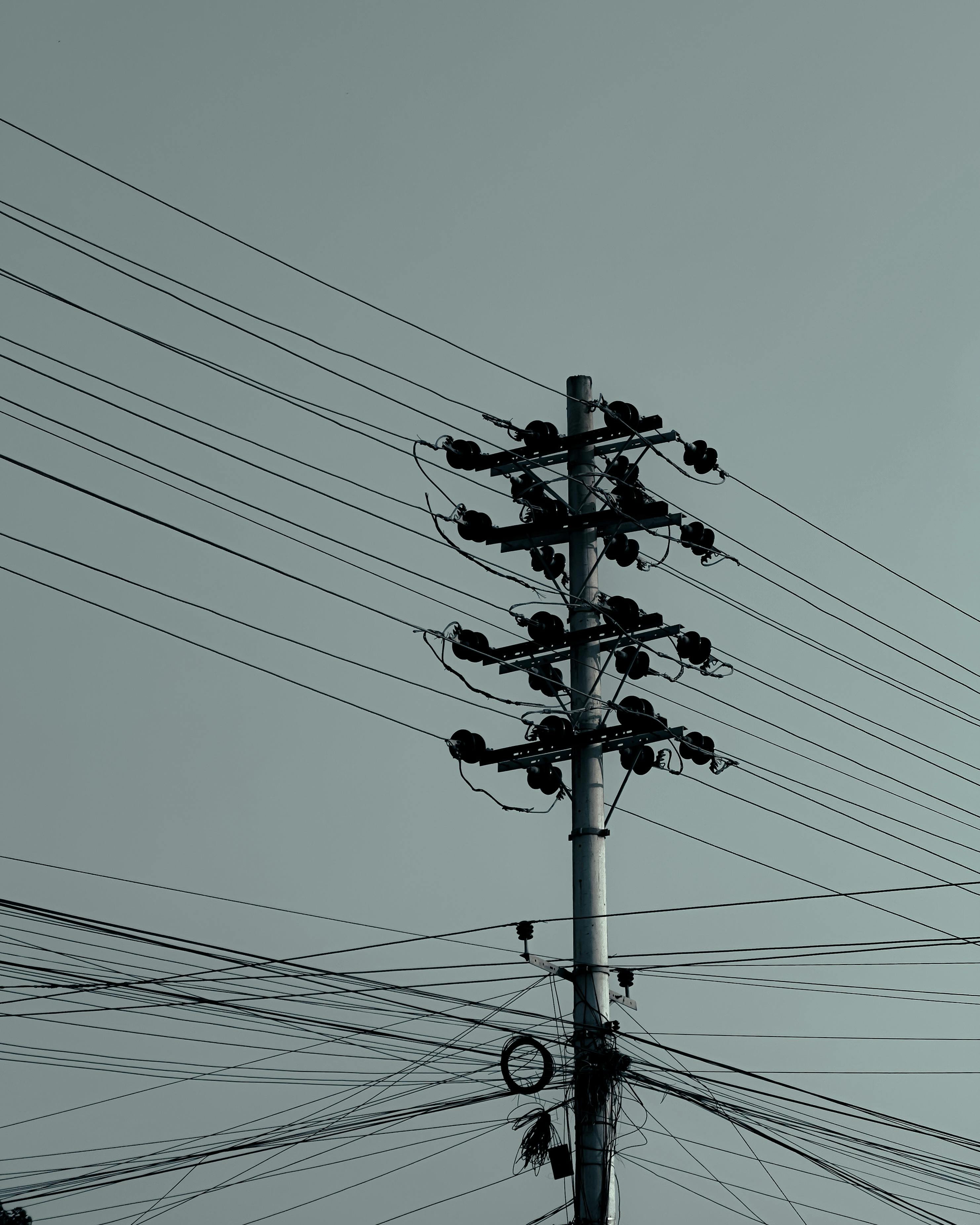 Telephone Poles And Wires Silhouette
