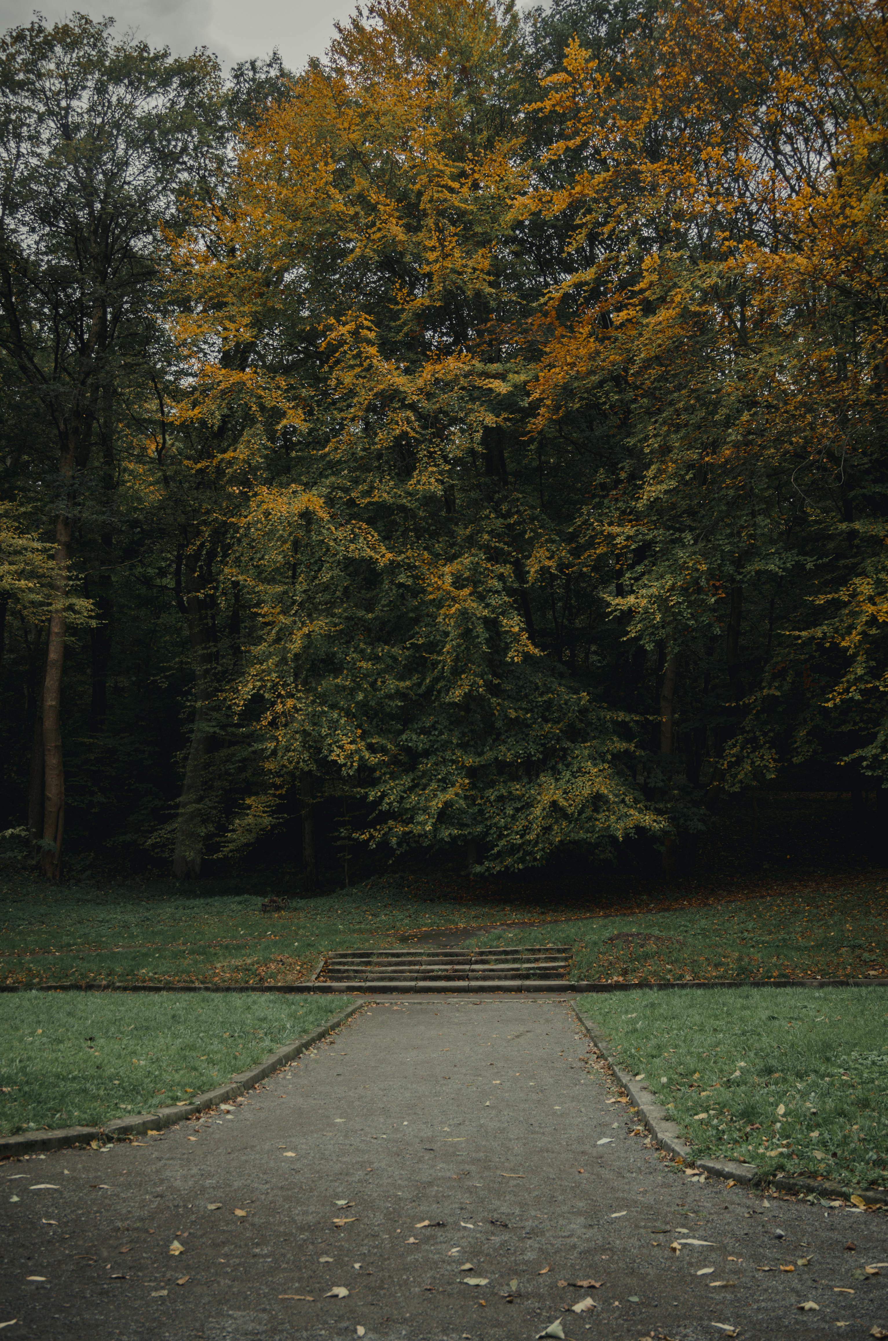 Iren Fedo - Photography