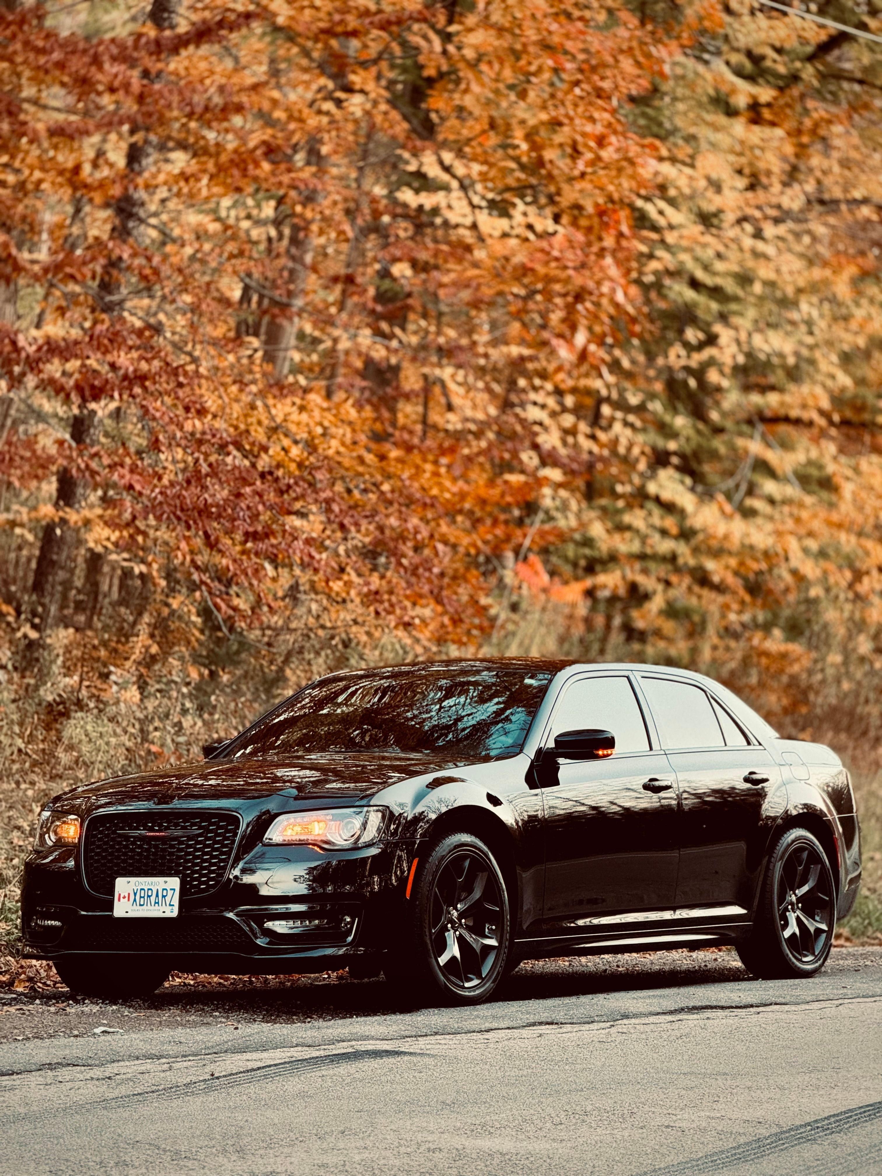 A Car in Autumn · Free Stock Photo