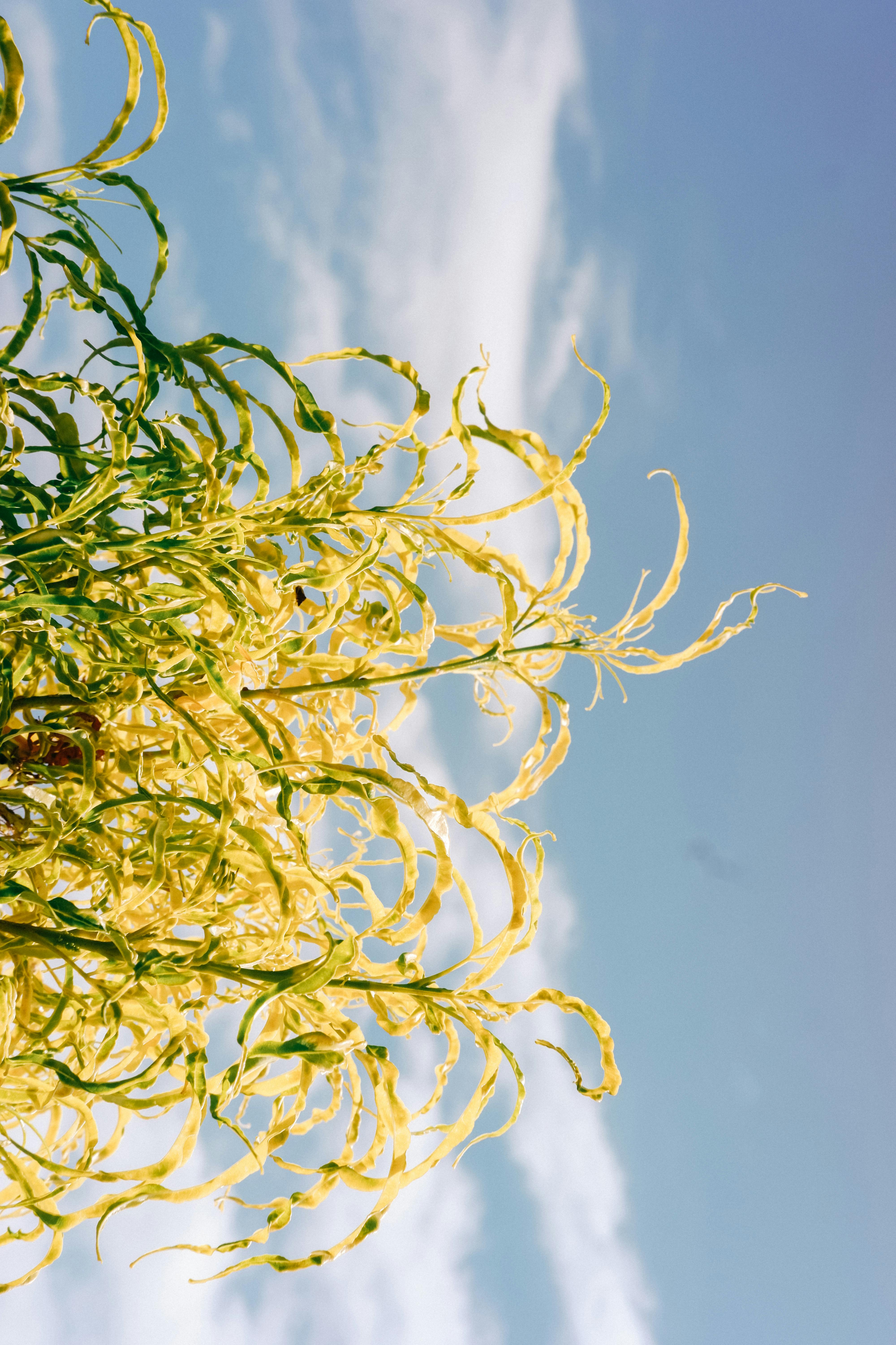 Yayuk lestari - 사진