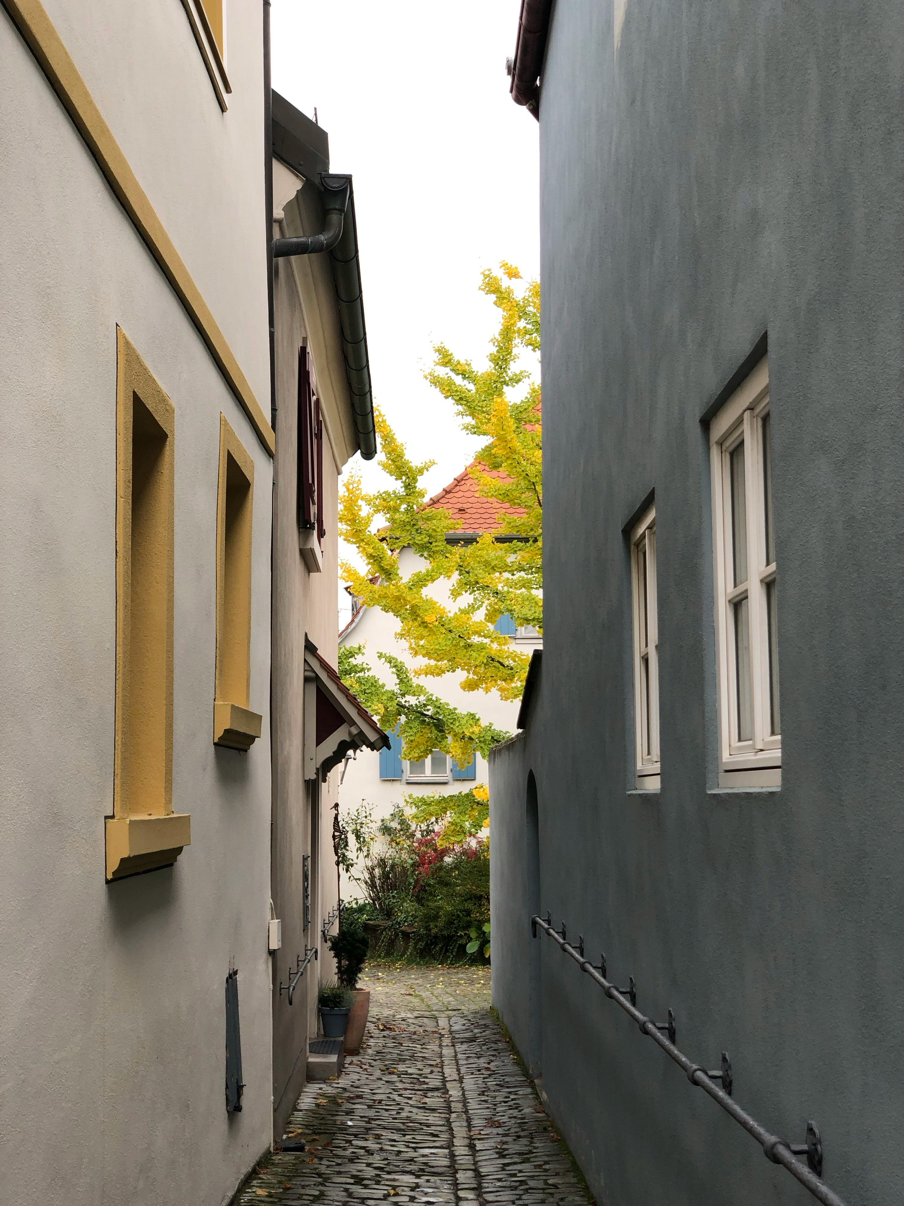 Residential Building in Mountains Landscape · Free Stock Photo