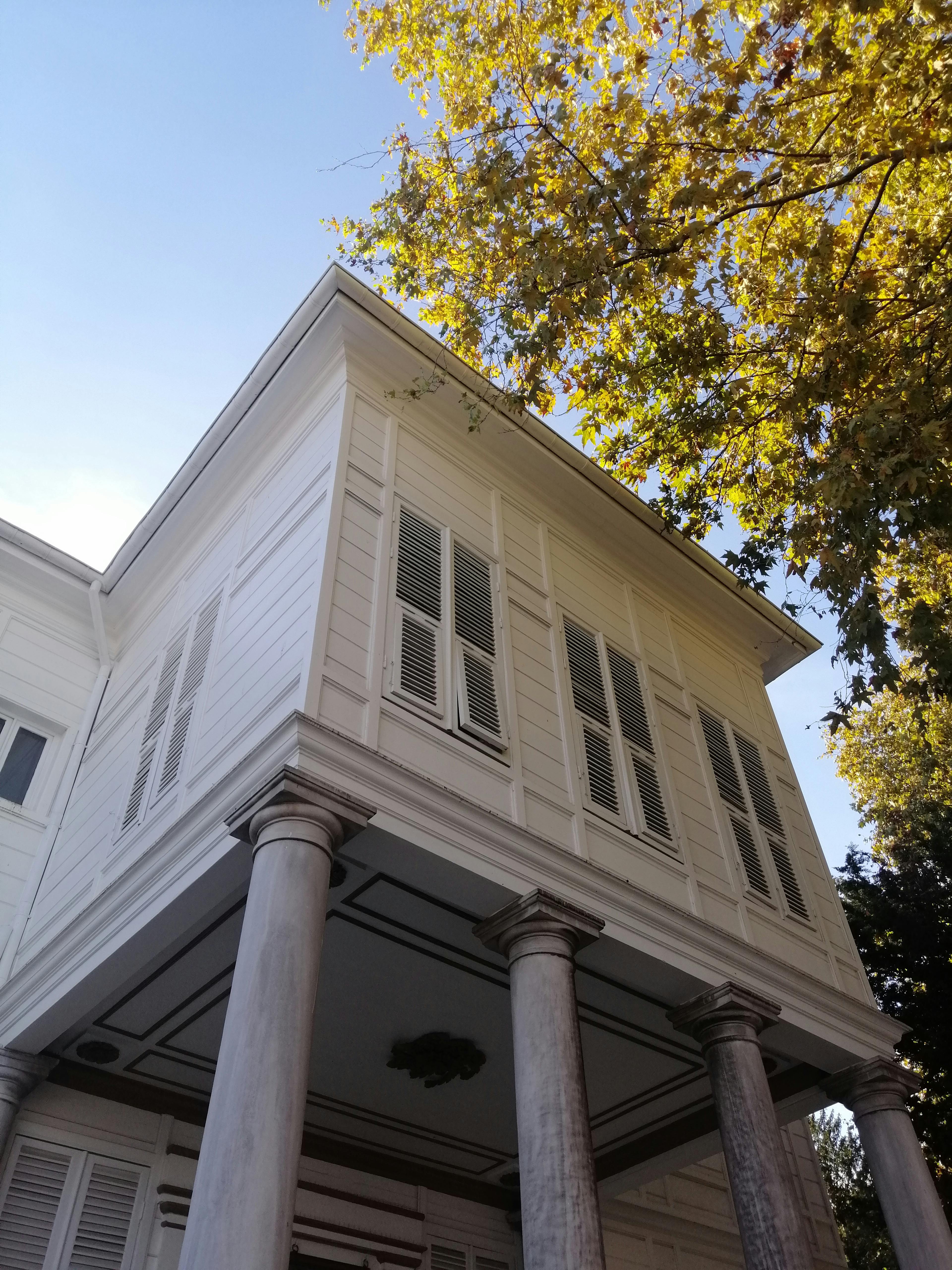 Swans in Lake near Old Mansion with Columns · Free Stock Photo