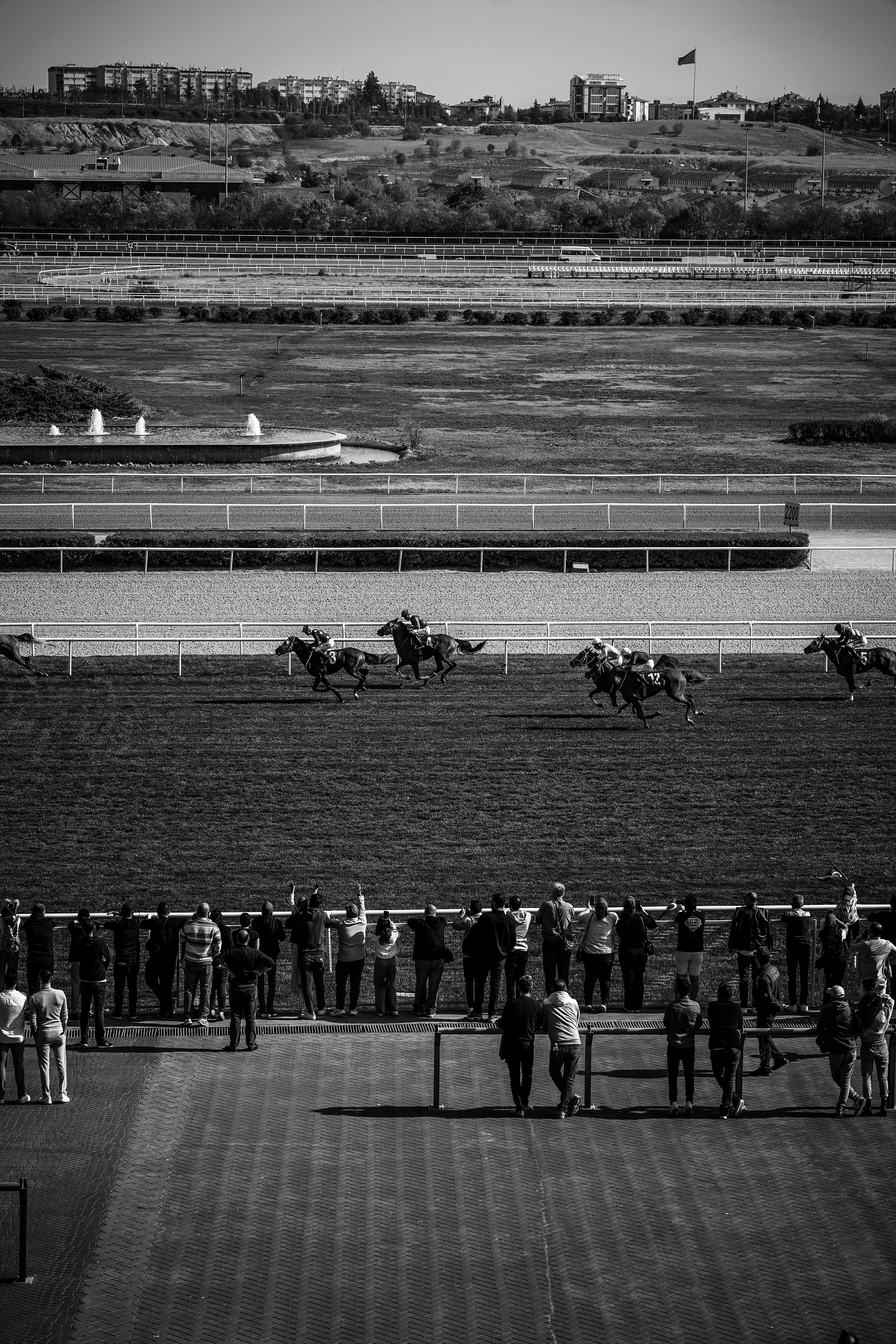 People on a Racehorse in Black and White · Free Stock Photo
