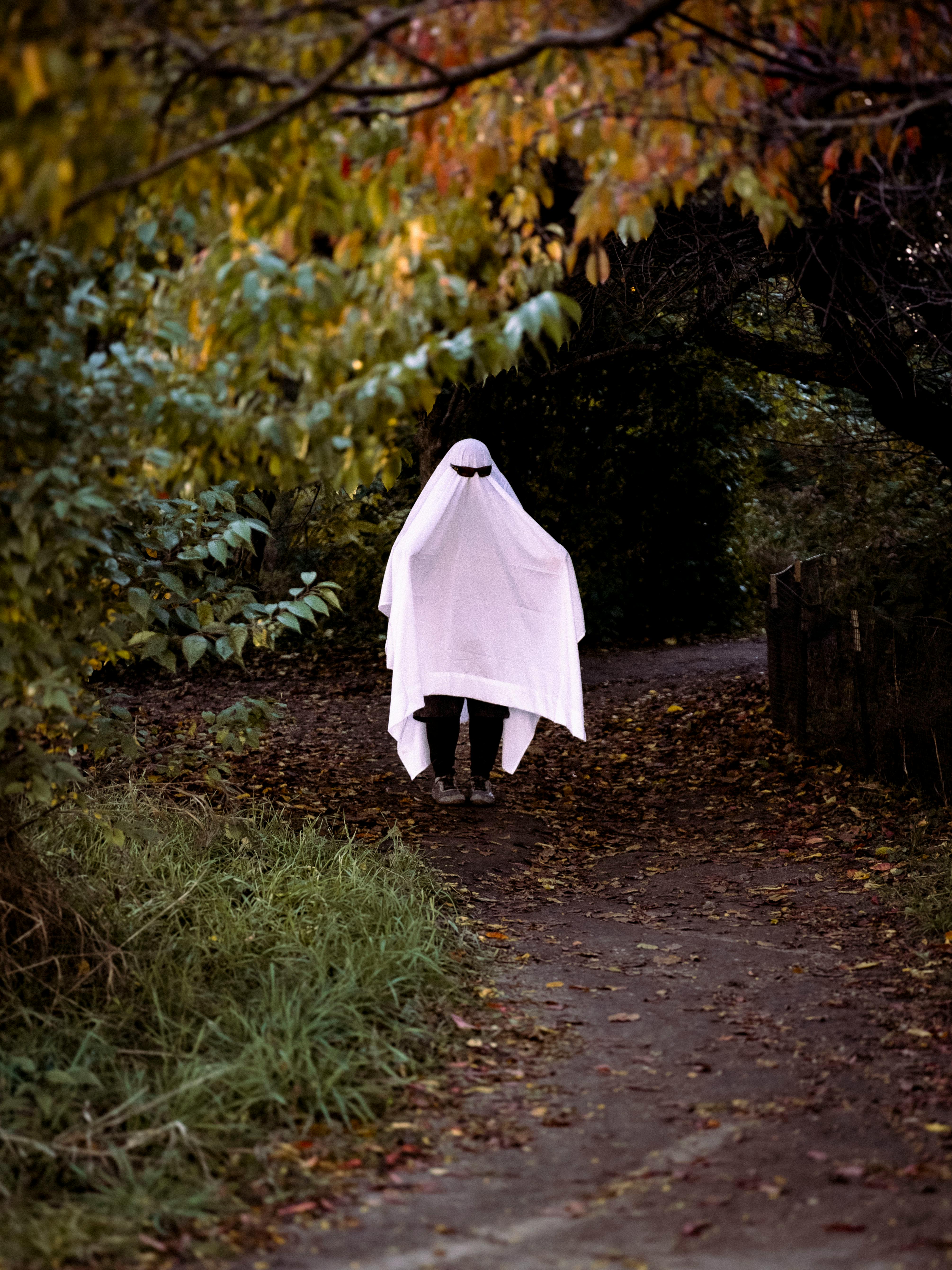 A Ghost in the Forest · Free Stock Photo