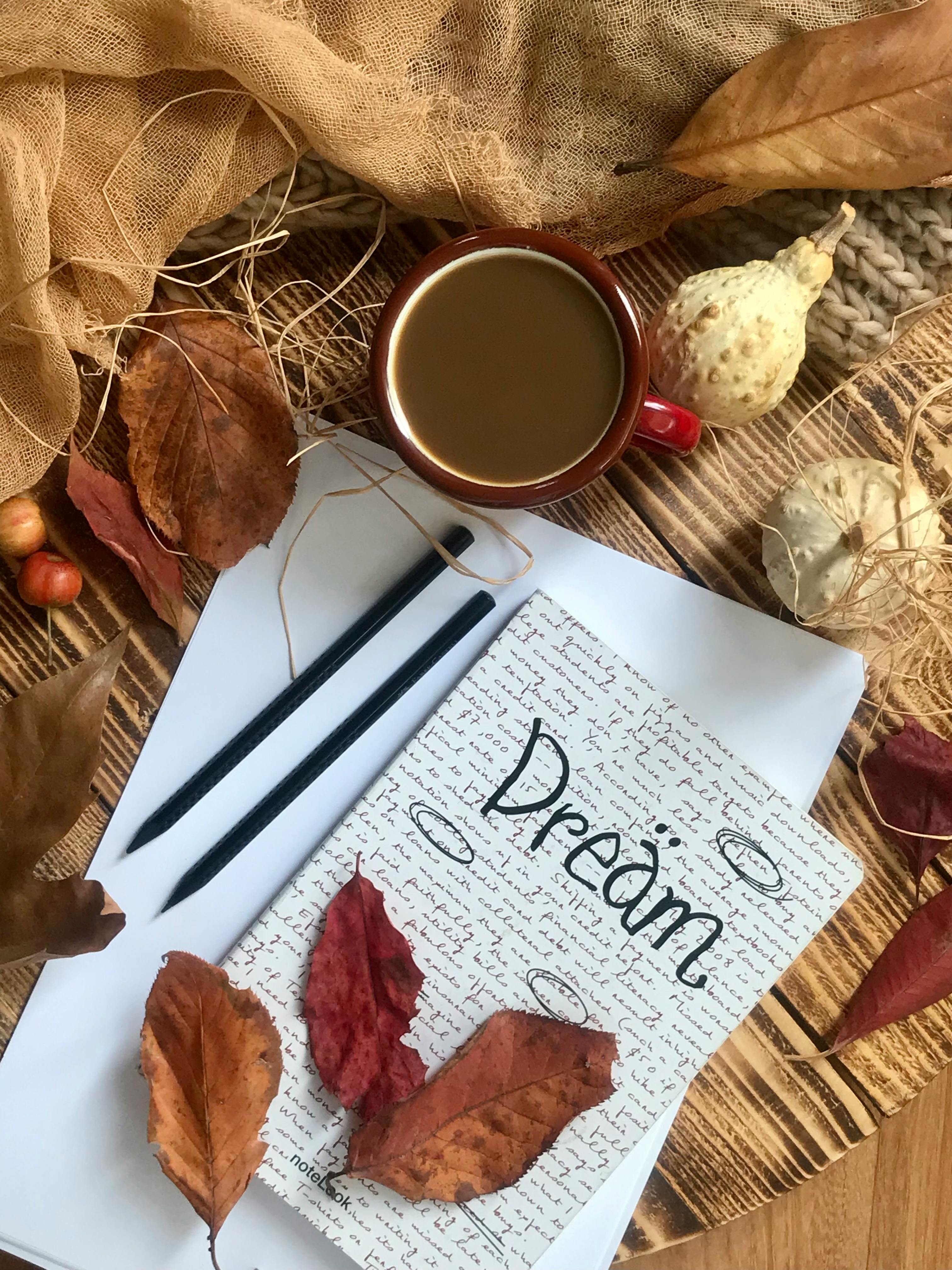 Notes De Dolar Photos, Download The BEST Free Notes De Dolar Stock ...