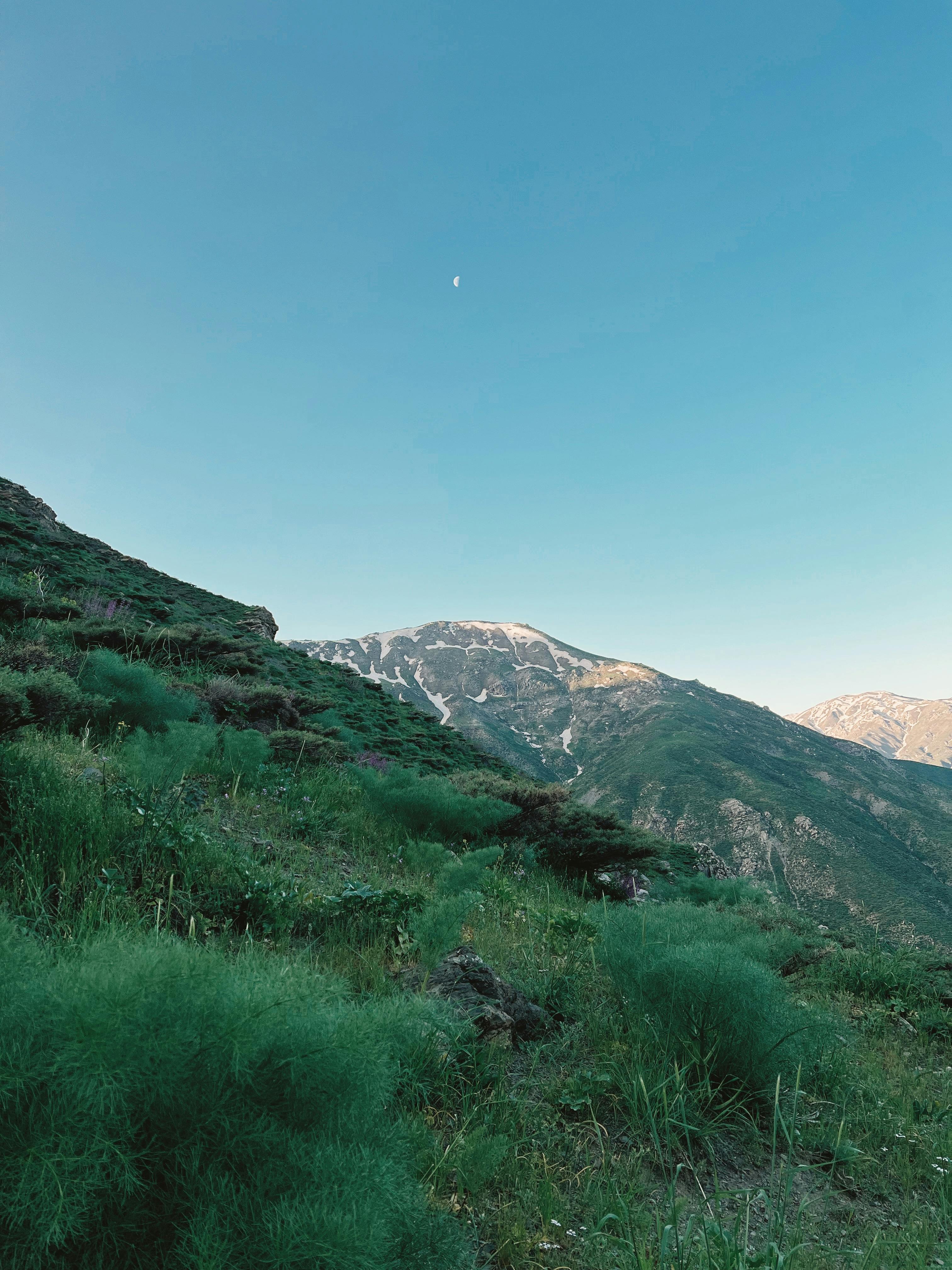 Green Grassy Ridge · Free Stock Photo