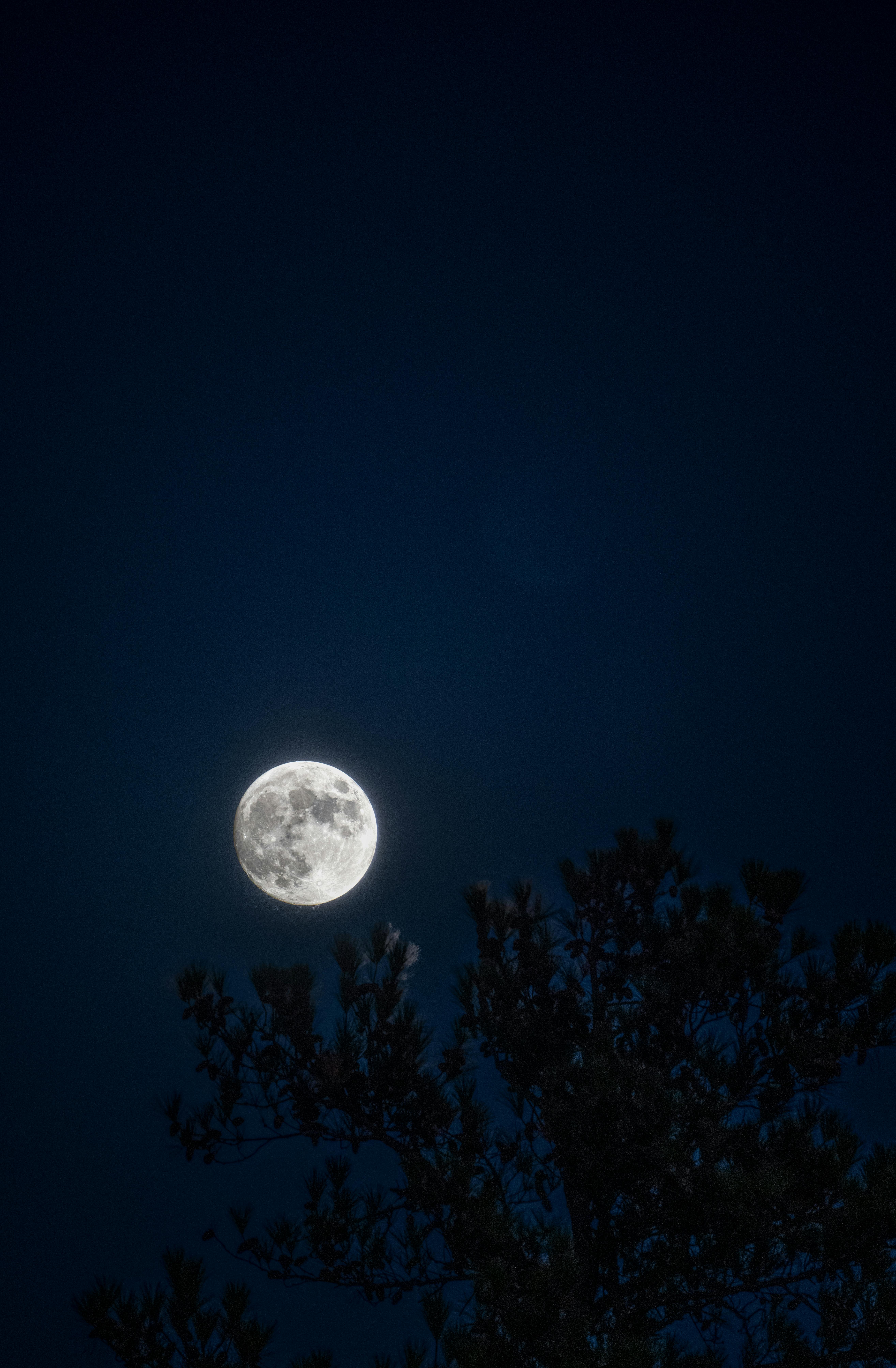 Full Moon at Night · Free Stock Photo
