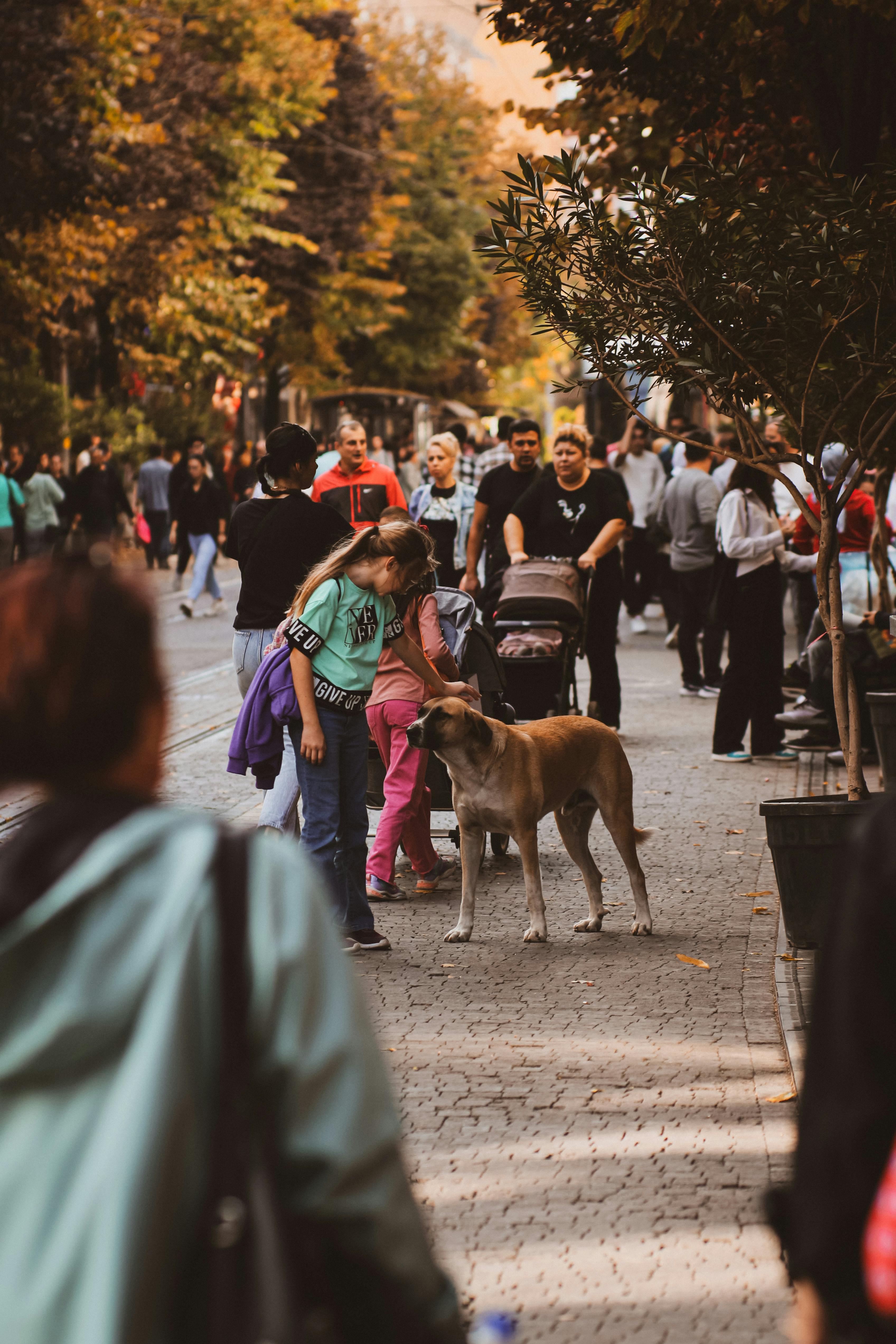 People on Street in Town · Free Stock Photo