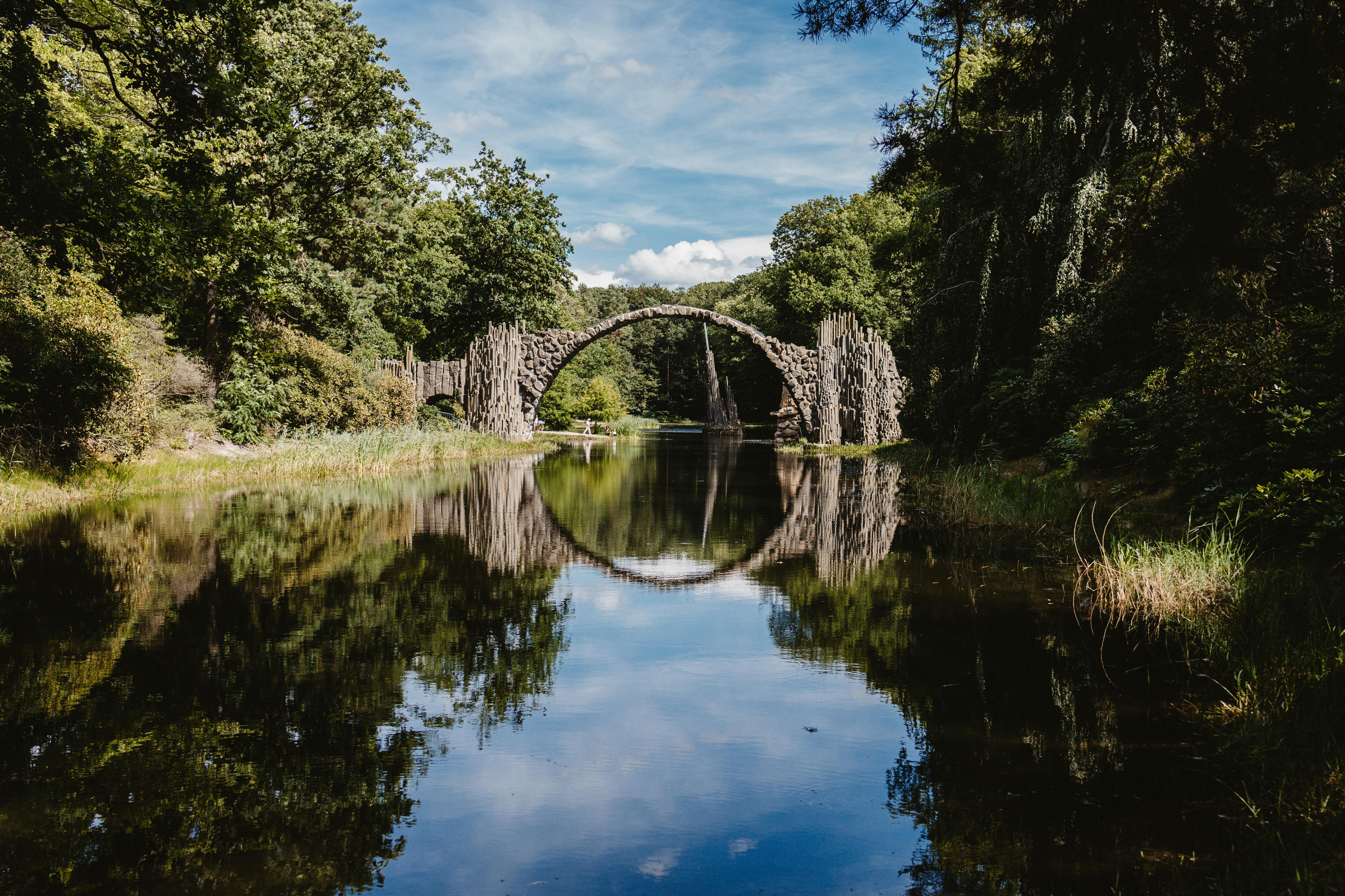 Gray Bridge and Trees · Free Stock Photo