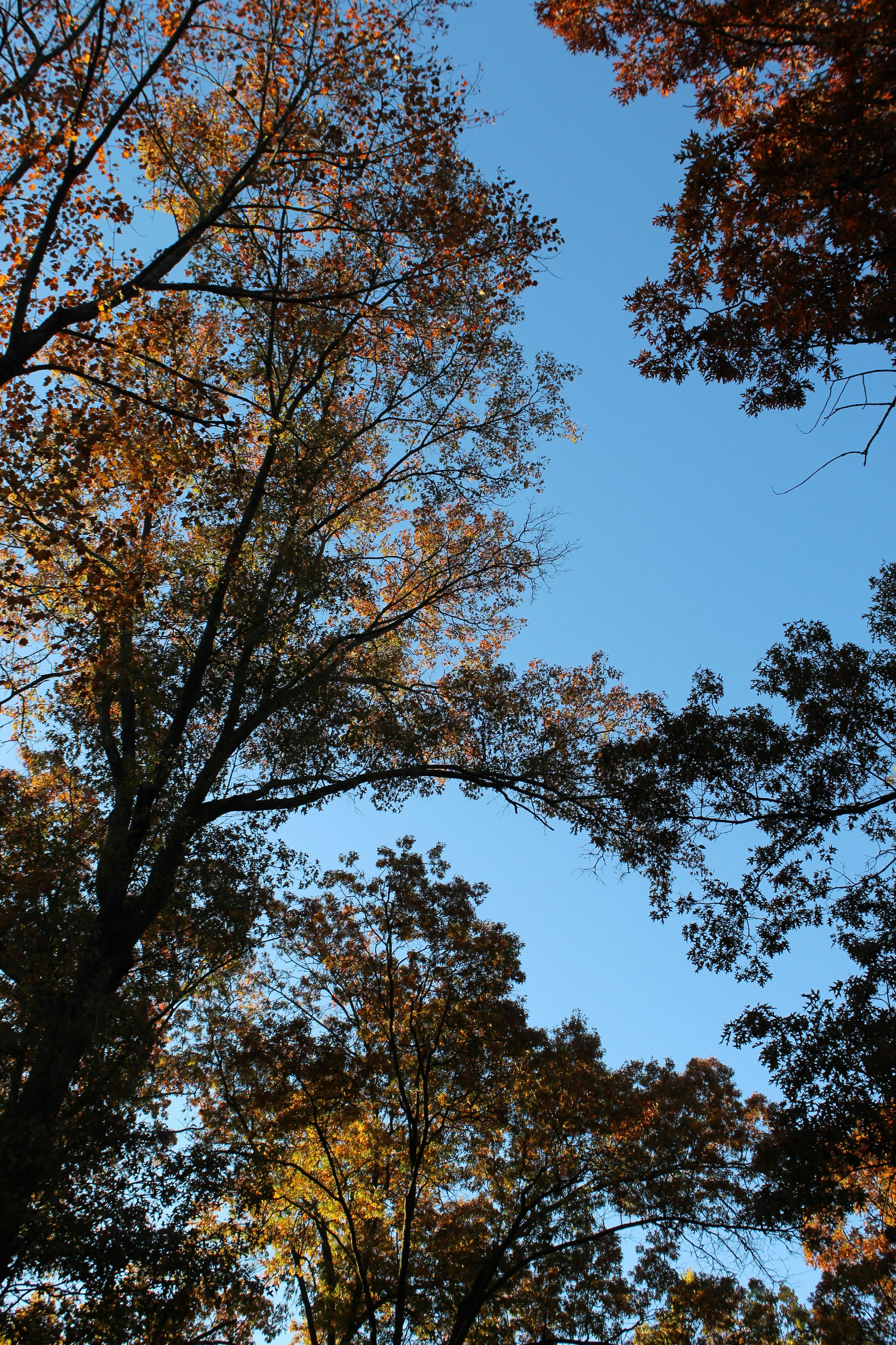 Zachary Tang - Photography