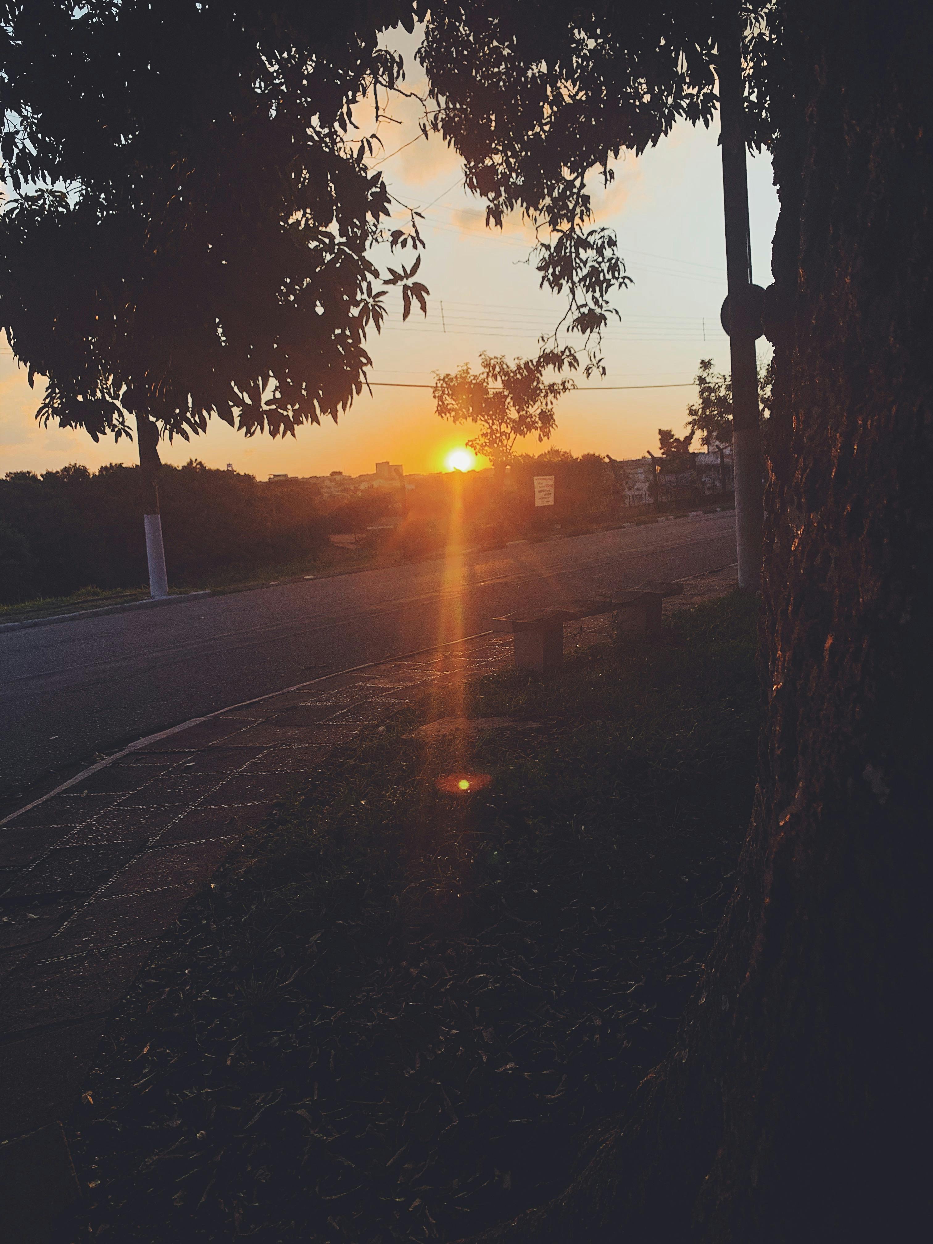 Vinicius Lobo - Photography