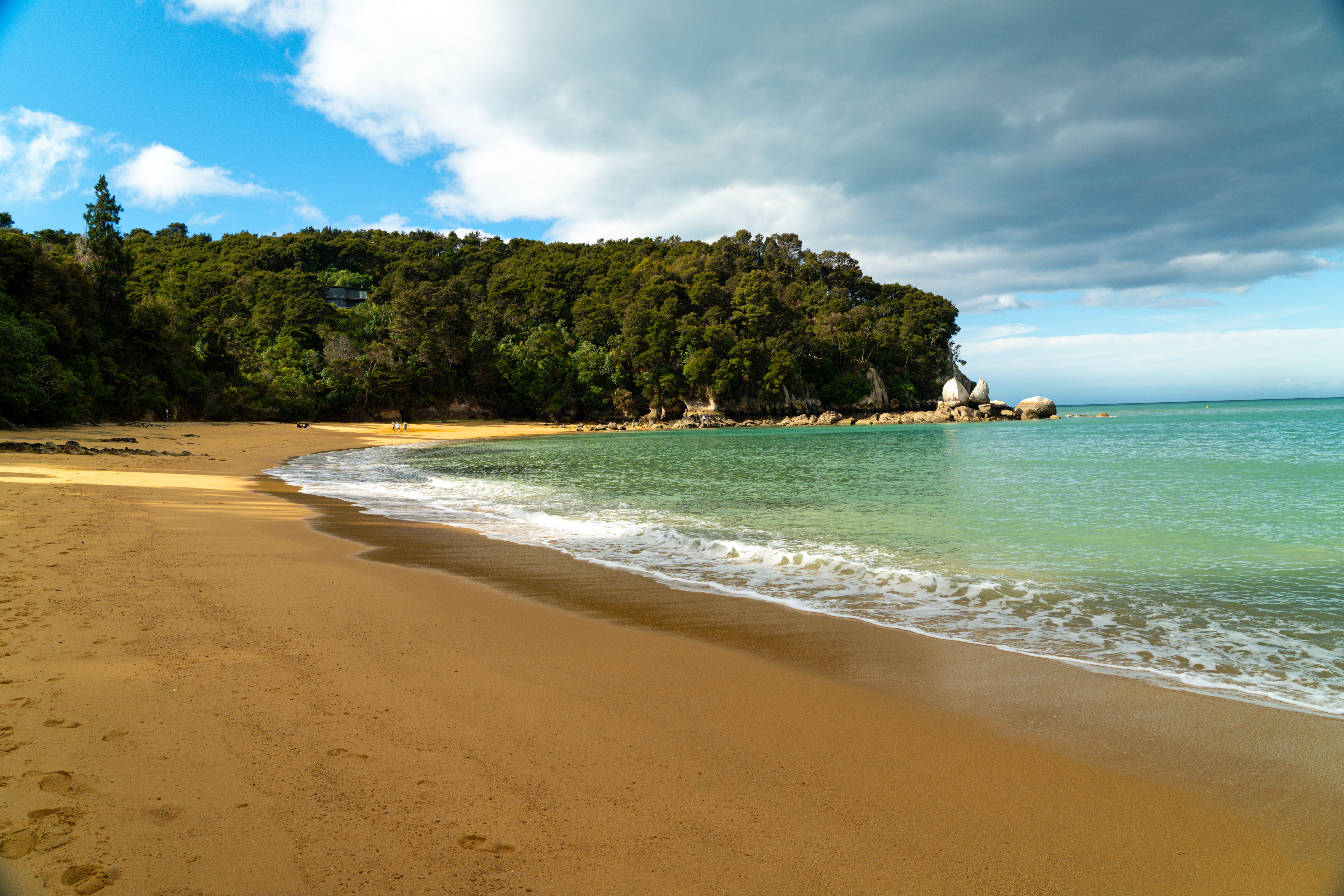 Sandy Beach with a Forest in the Background · Free Stock Photo