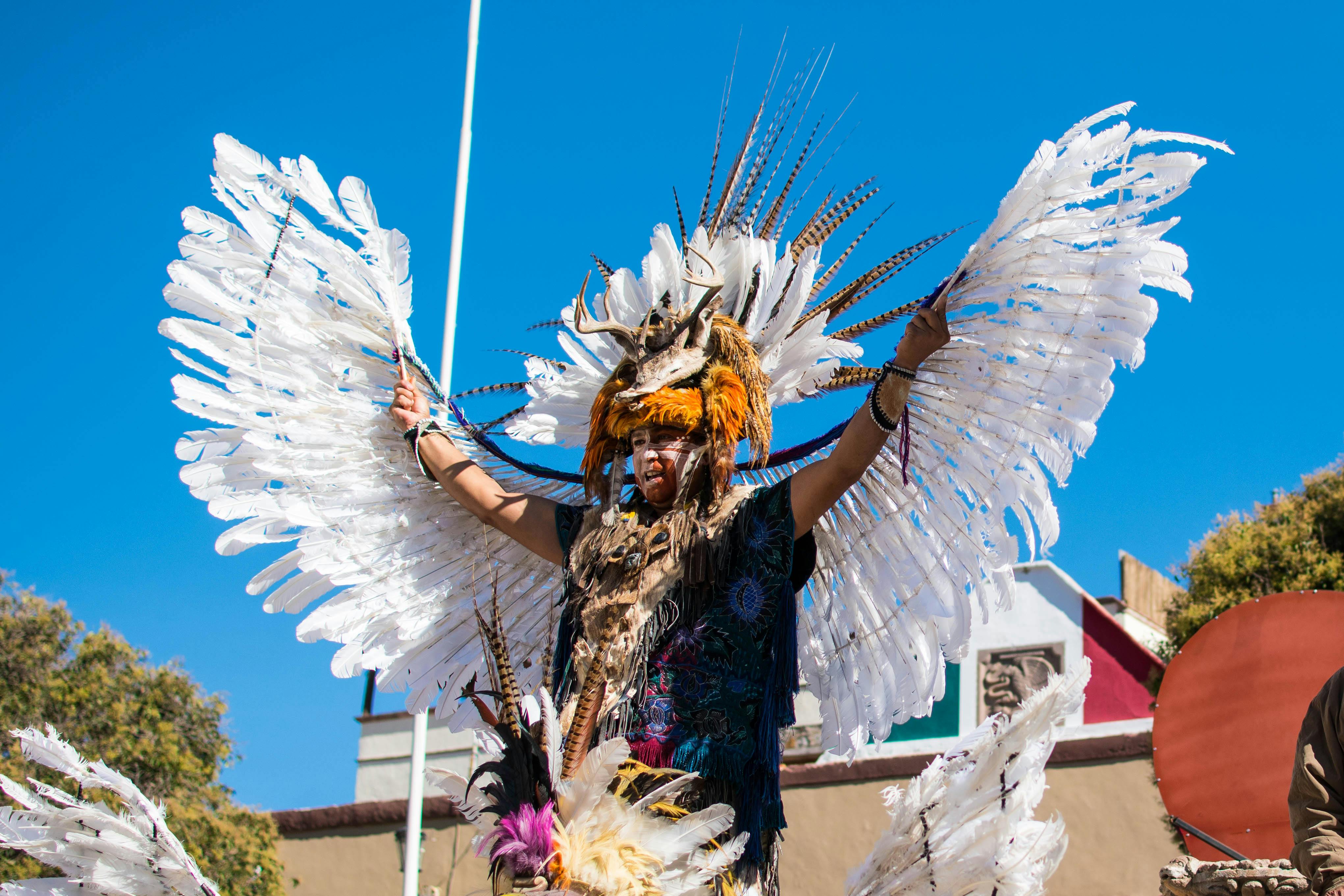 Man in a Bird Feather Costume at a Festival · Free Stock Photo