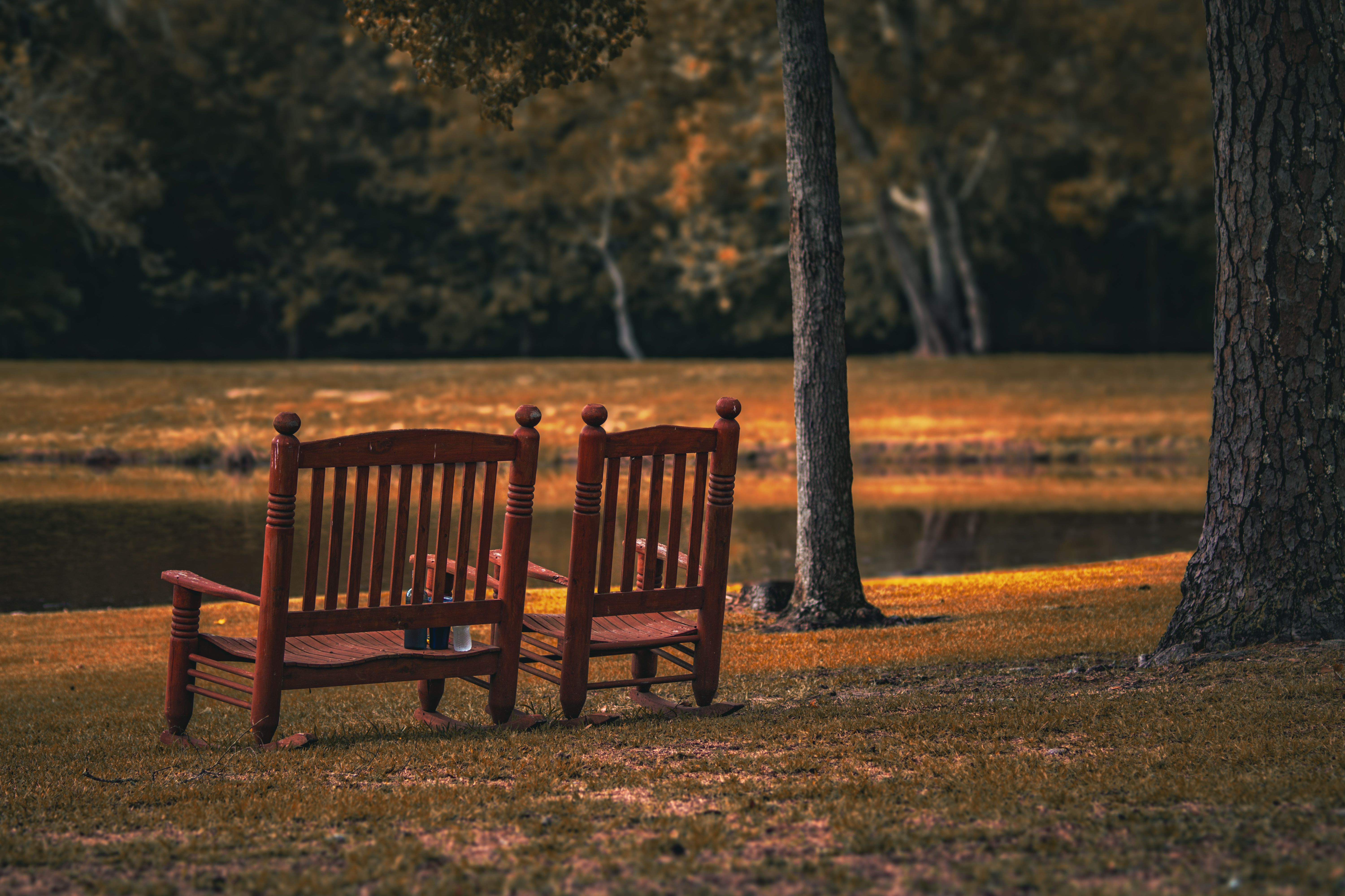 Wooden Chairs by the River in a Park · Free Stock Photo