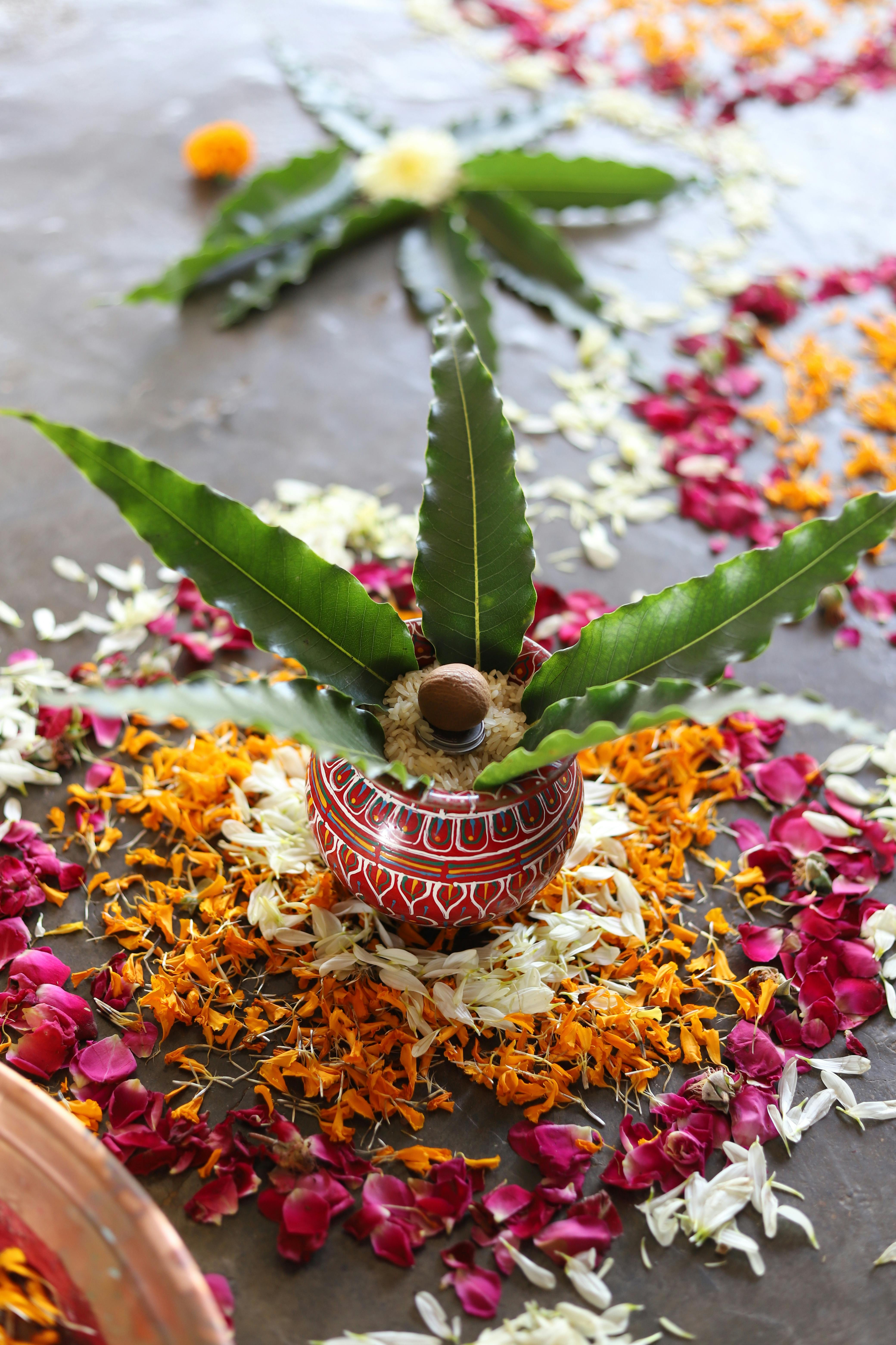 Hindu Altar Decorated with Flowers and Images of Deities · Free Stock Photo