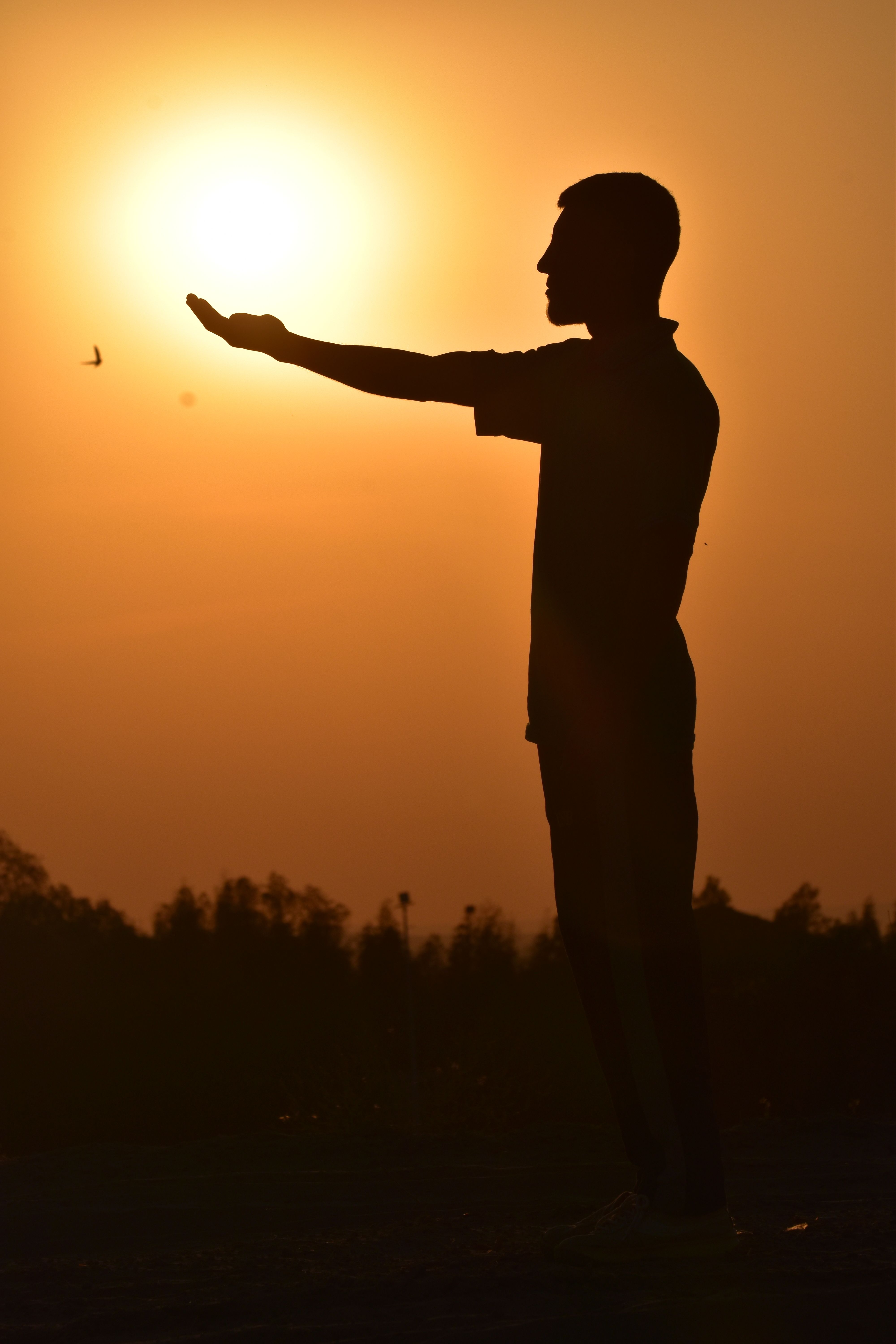 Sunrise Team Photos, Download The BEST Free Sunrise Team Stock Photos ...