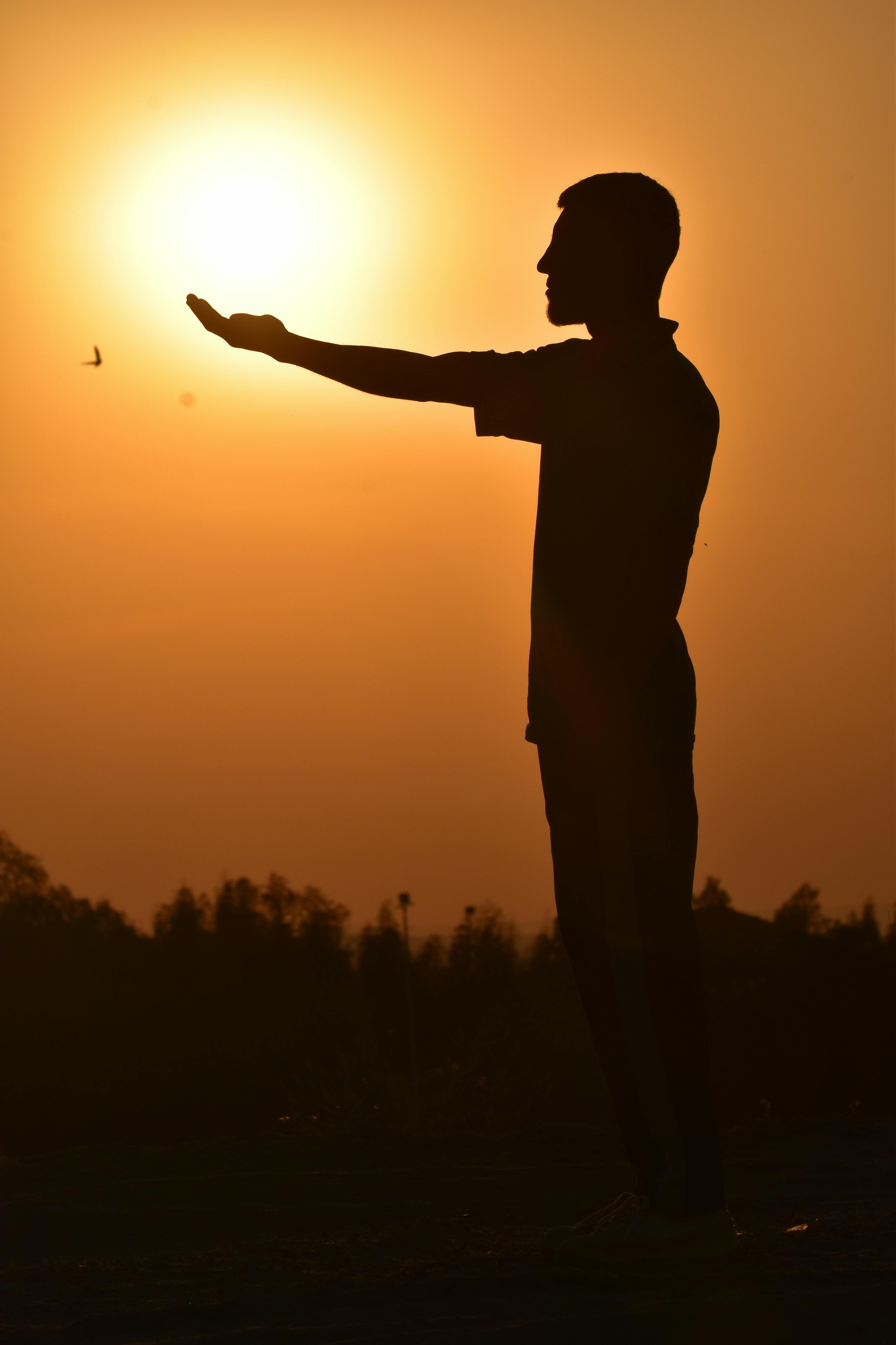 Foto profissional gratuita de crepúsculo, homem, iluminado de volta, nascer do sol, perspectiva ...