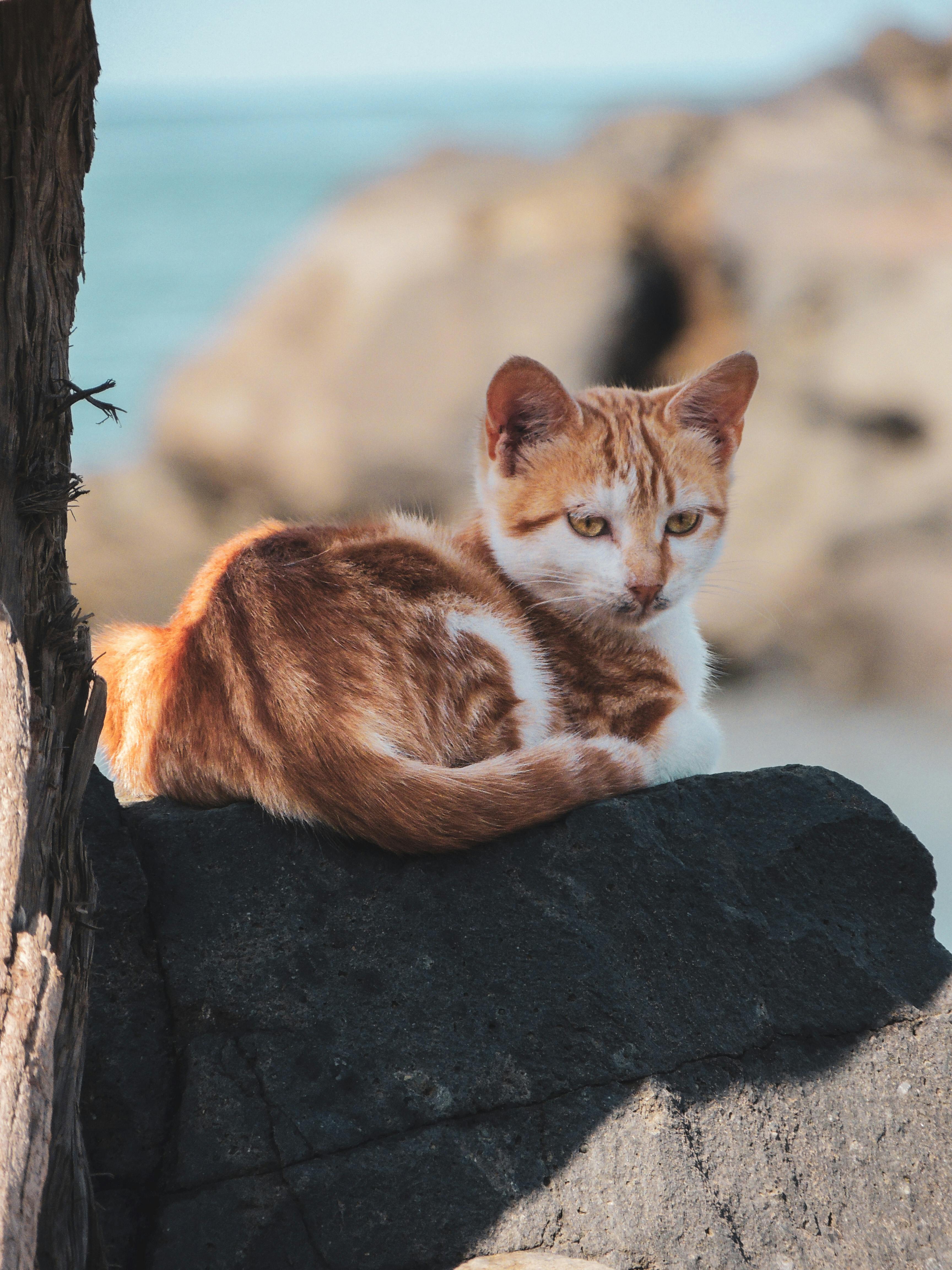 Fart Photos, Download The BEST Free Fart Stock Photos & HD Images