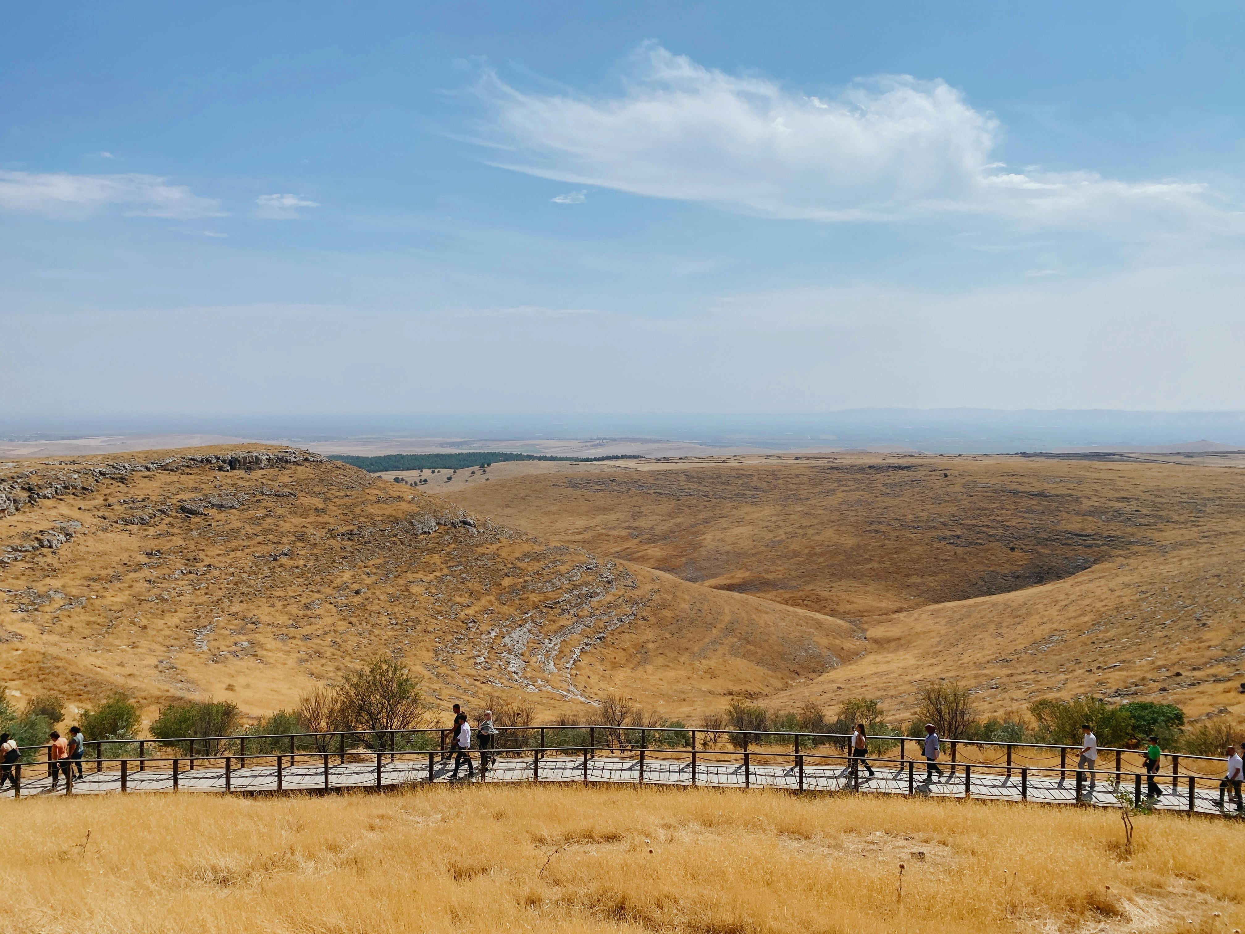 A Footpath in a Field · Free Stock Photo