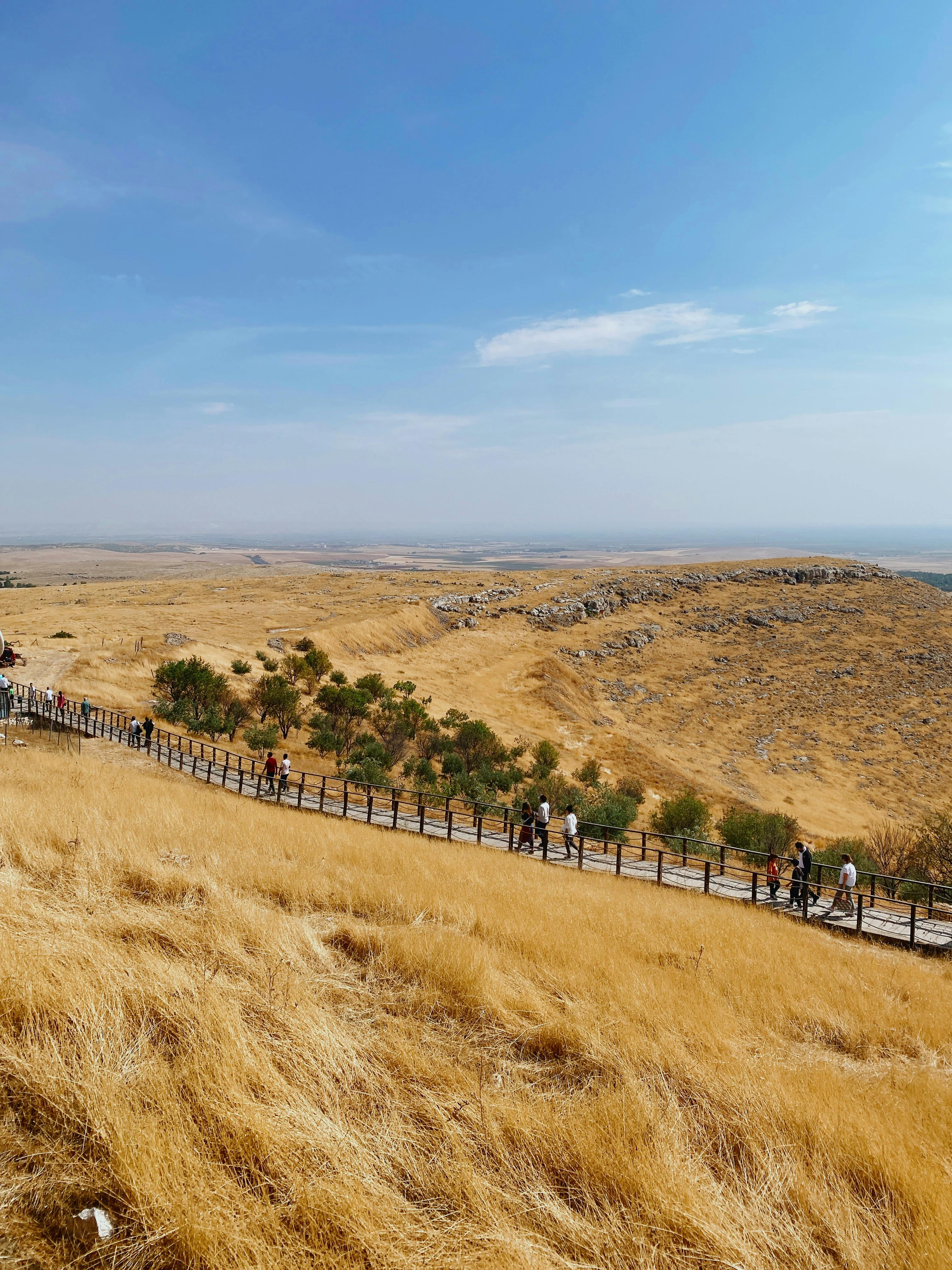 Photograph of People in a Park · Free Stock Photo