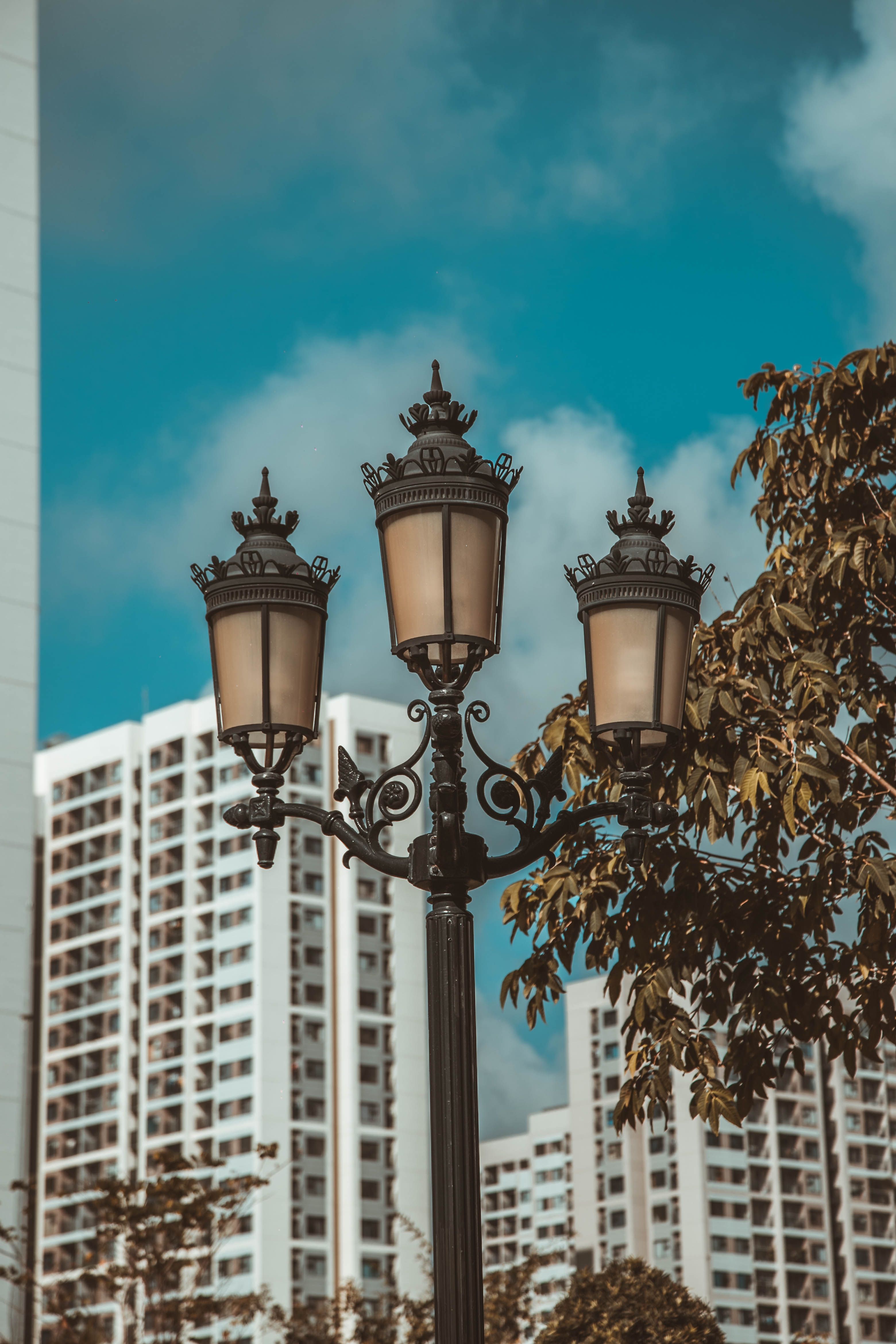 Street light pole with green shrub · Free Stock Photo