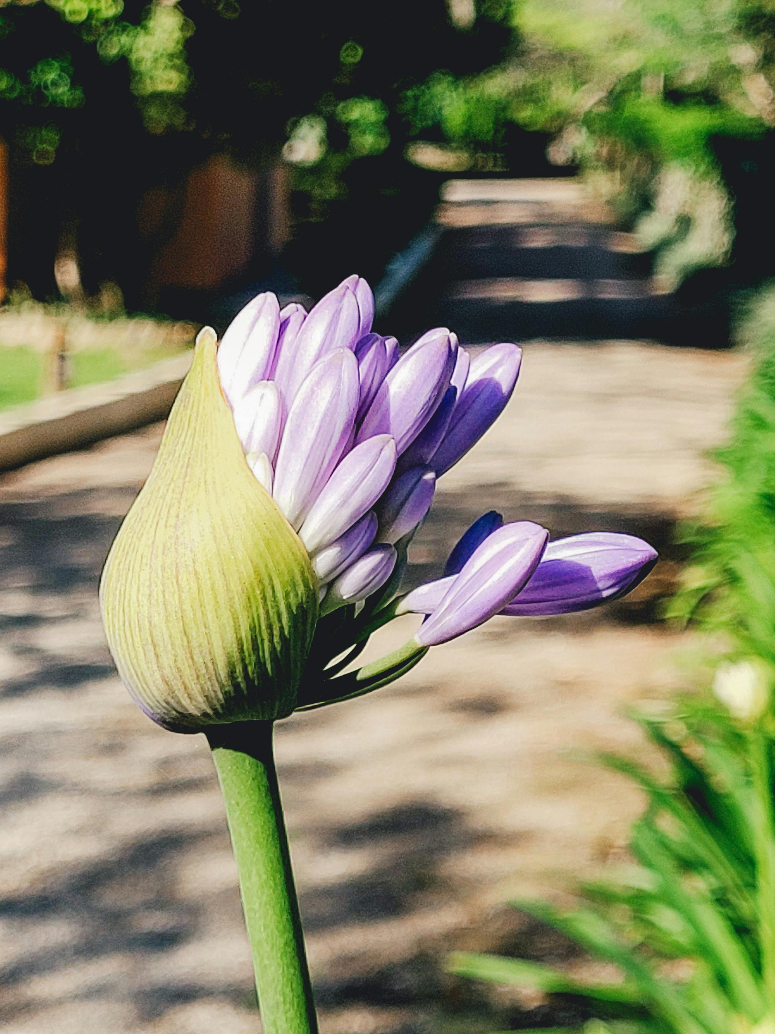 Claiton Conto - การถ่ายภาพ