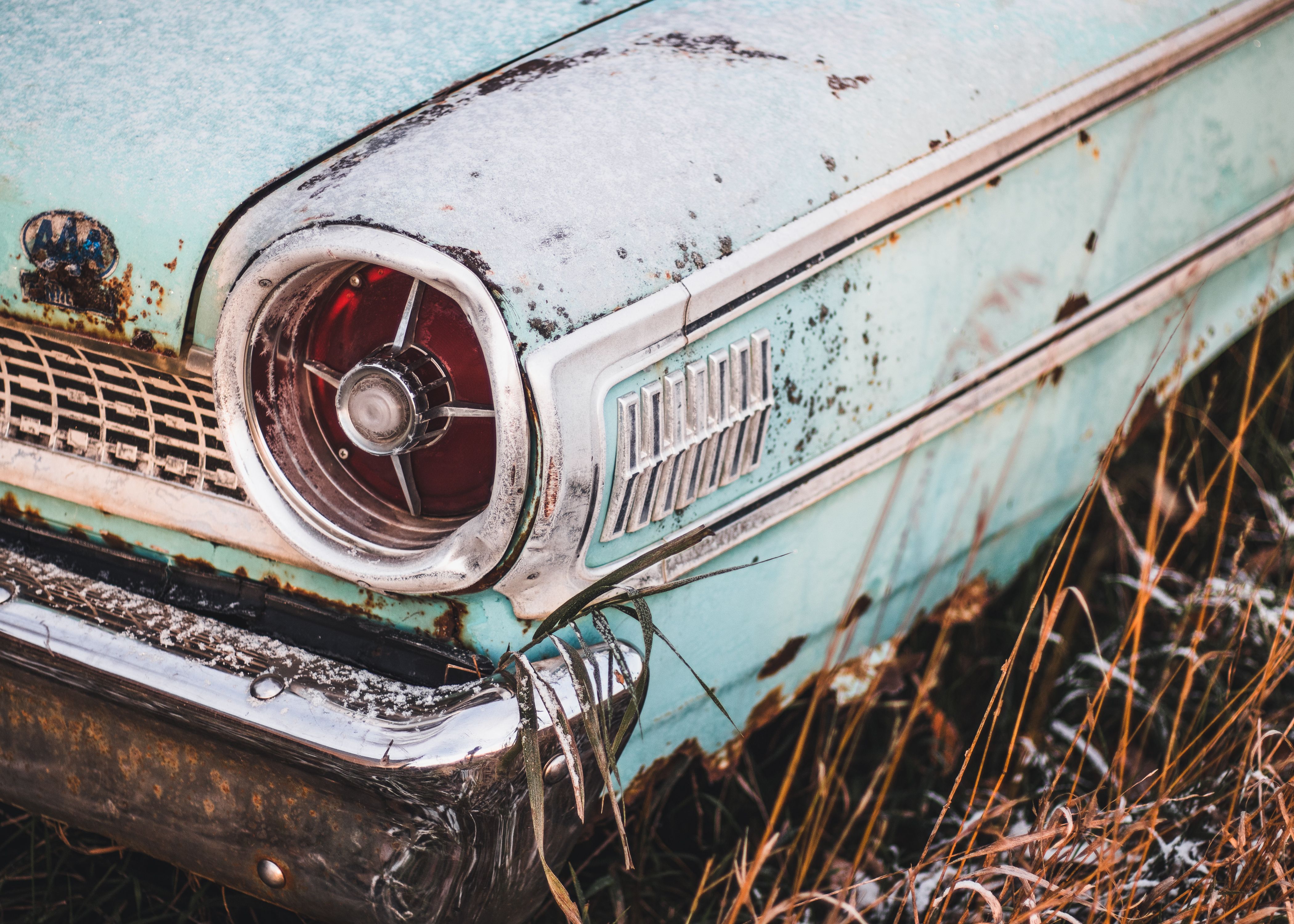 Green Classic Car in the Forest · Free Stock Photo