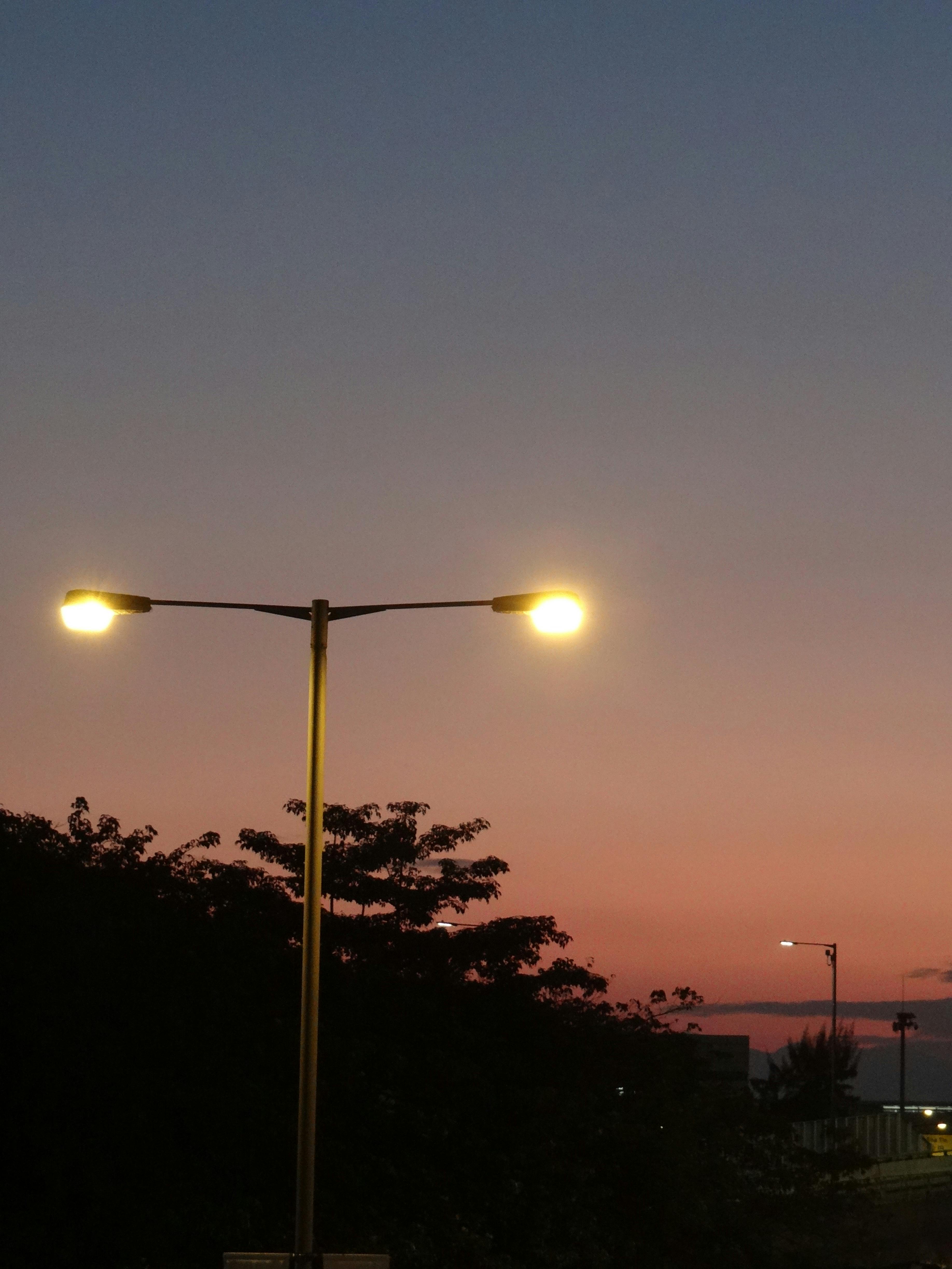 Amy Law - Photographie