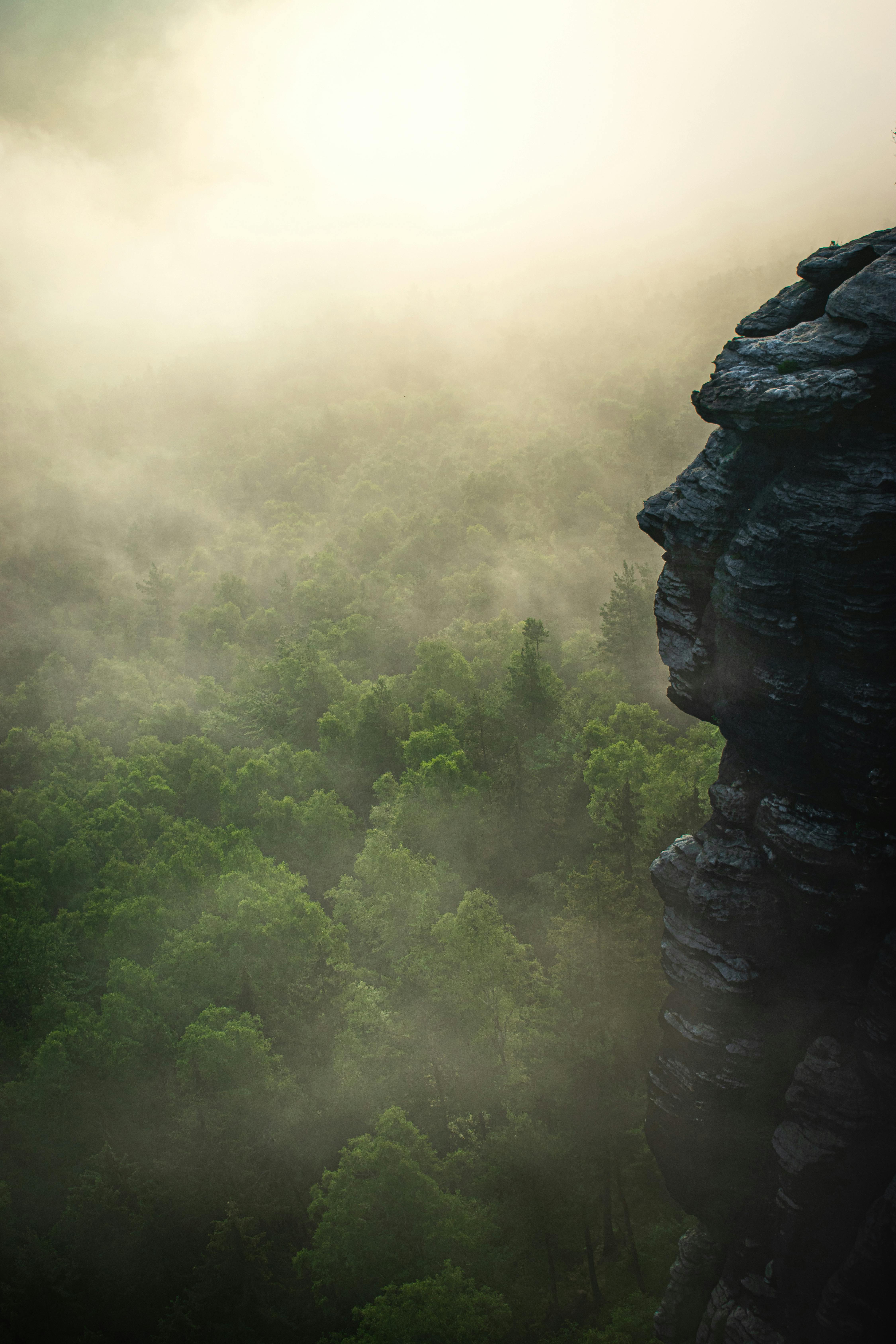 Deep Chart Photos, Download The BEST Free Deep Chart Stock Photos & HD ...